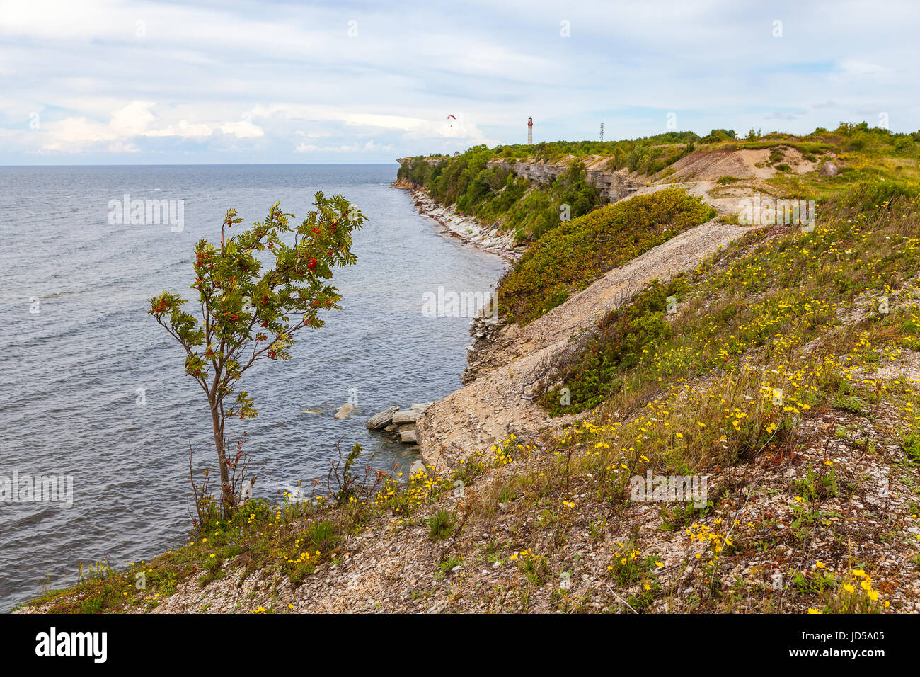 Rocky shore of Baltic sea. Northern Estonia Stock Photo - Alamy