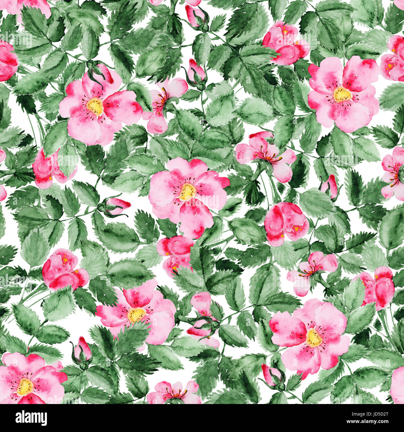 Briar blossom flower pattern Stock Photo - Alamy
