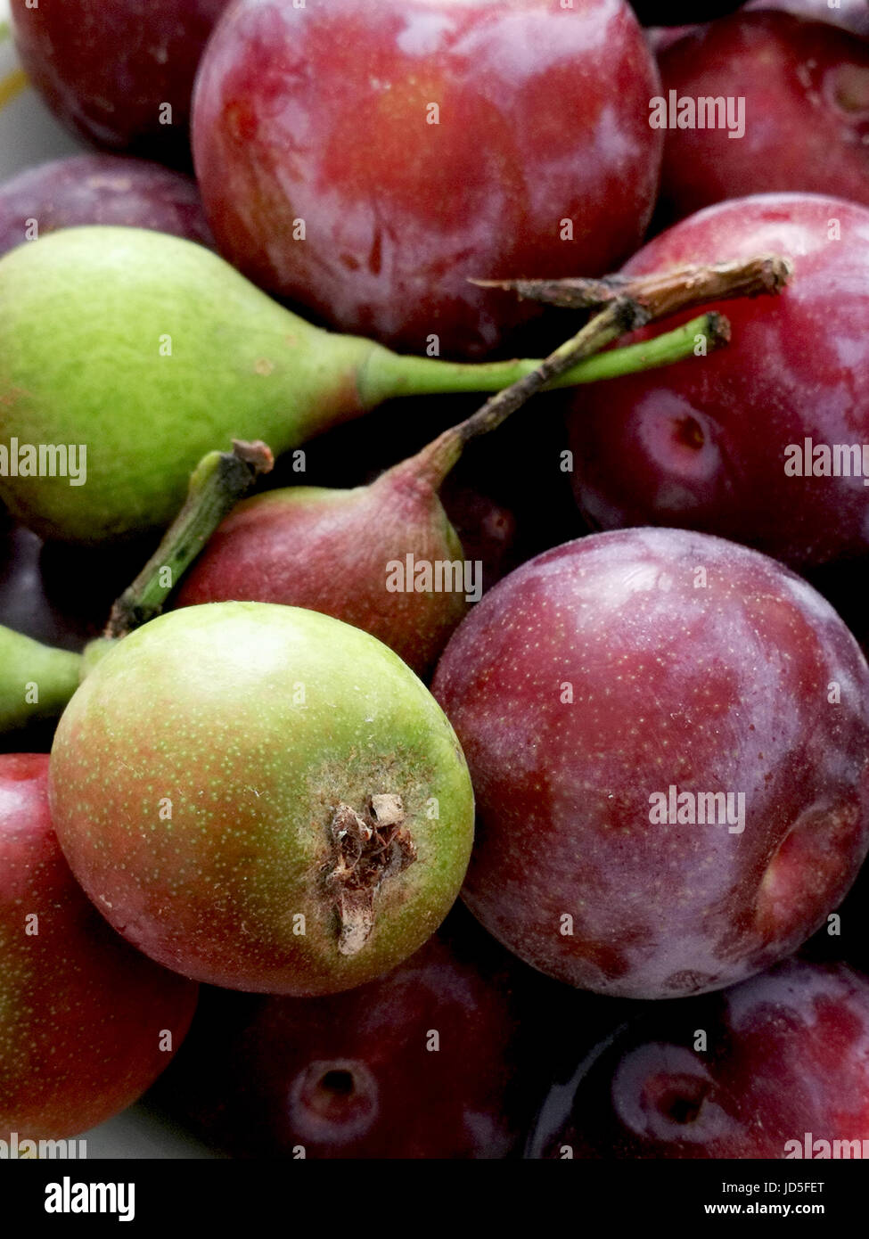 Red plums and pears of St John Stock Photo - Alamy