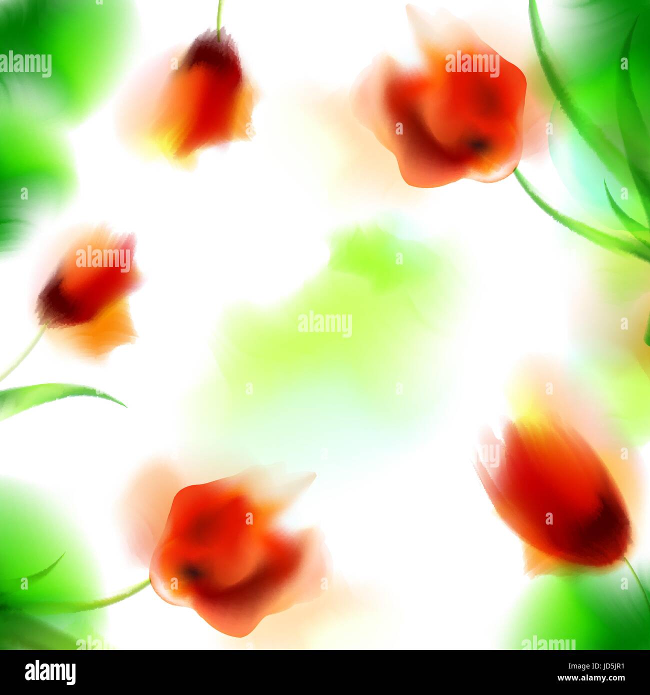 Watercolor romantic blooming poppy flowers isolated vector illustration ...