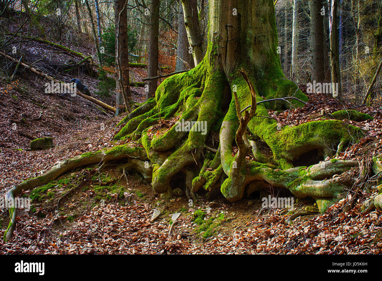 Magic Realism High Resolution Stock Photography and Images - Alamy