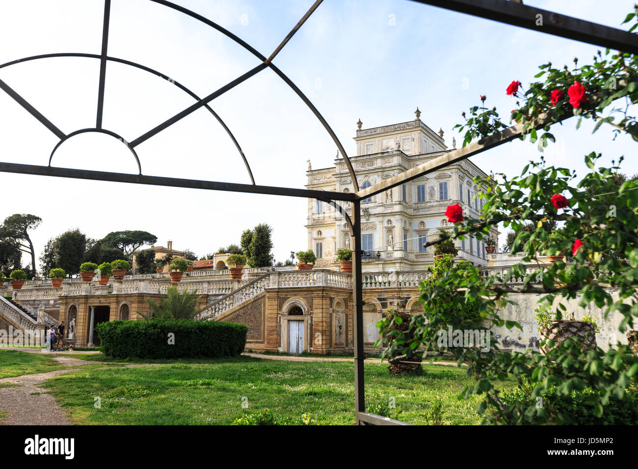 Aurelia antica hi-res stock photography and images - Alamy