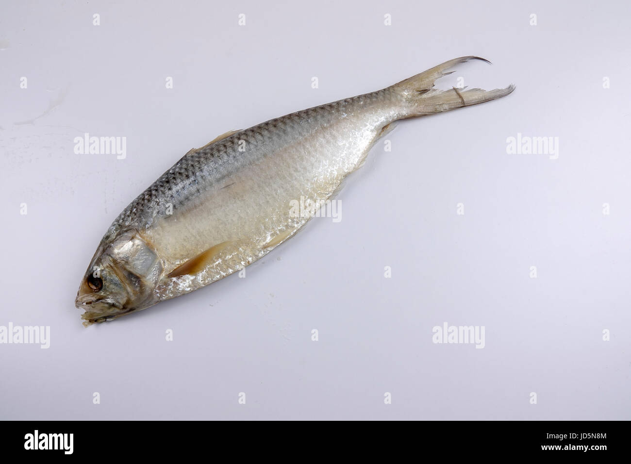 Raw salted fish isolated on white Stock Photo - Alamy