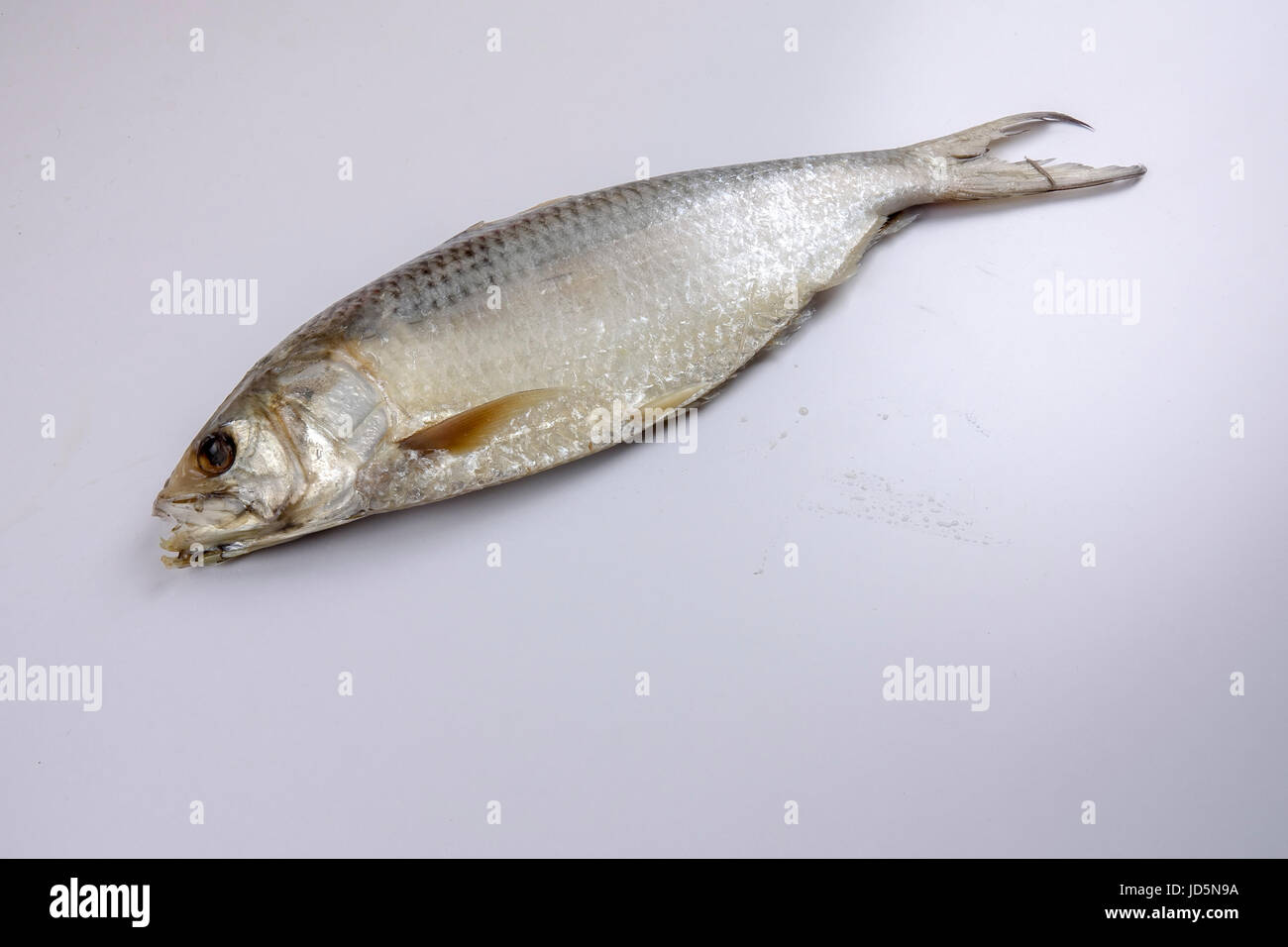 Raw salted fish isolated on white Stock Photo - Alamy
