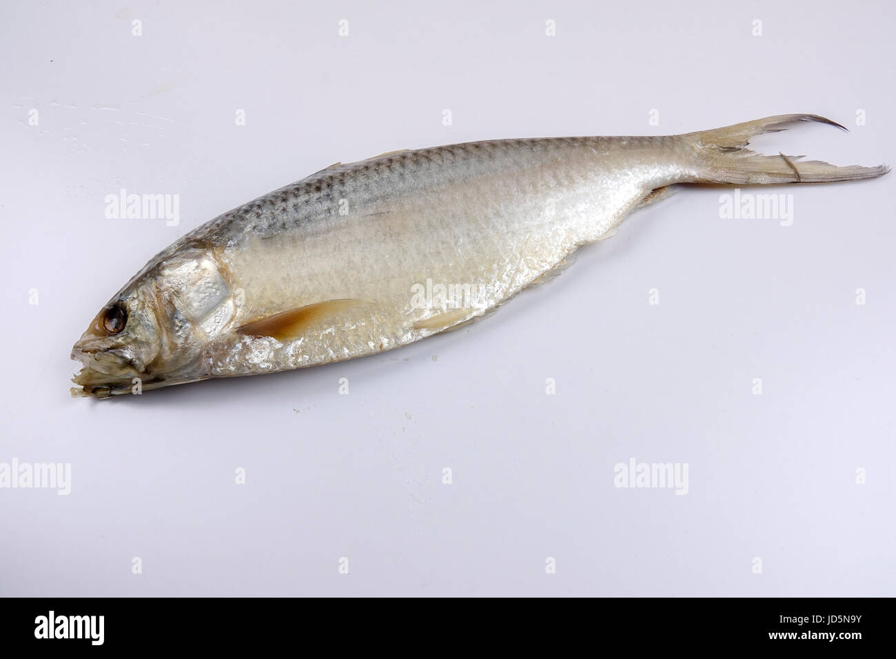 Raw salted fish isolated on white Stock Photo - Alamy