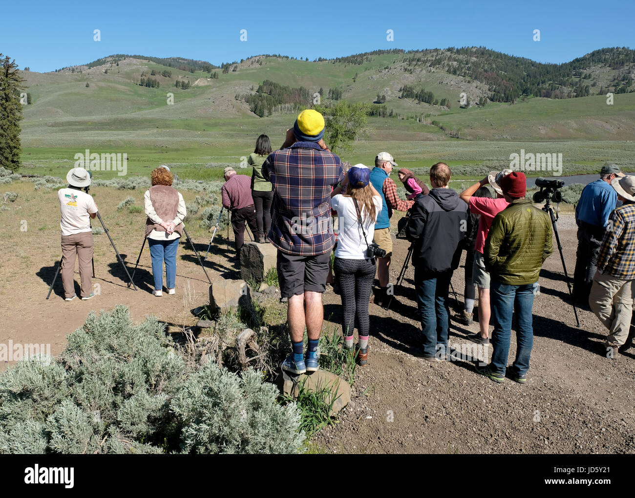 Observing wildlife hi-res stock photography and images - Alamy