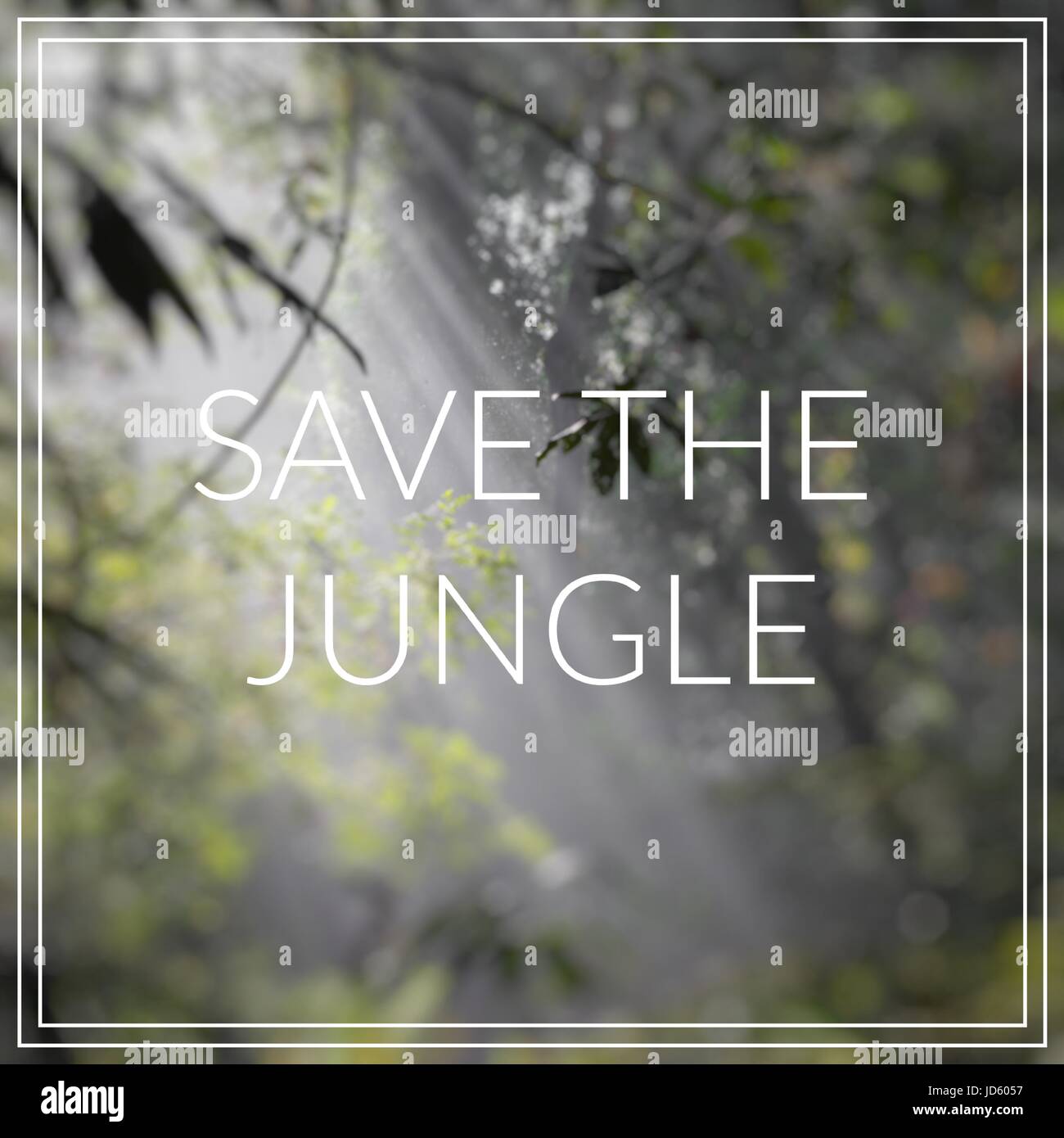Save the Jungle. Sunlight rays pour through leaves in a rainforest ...