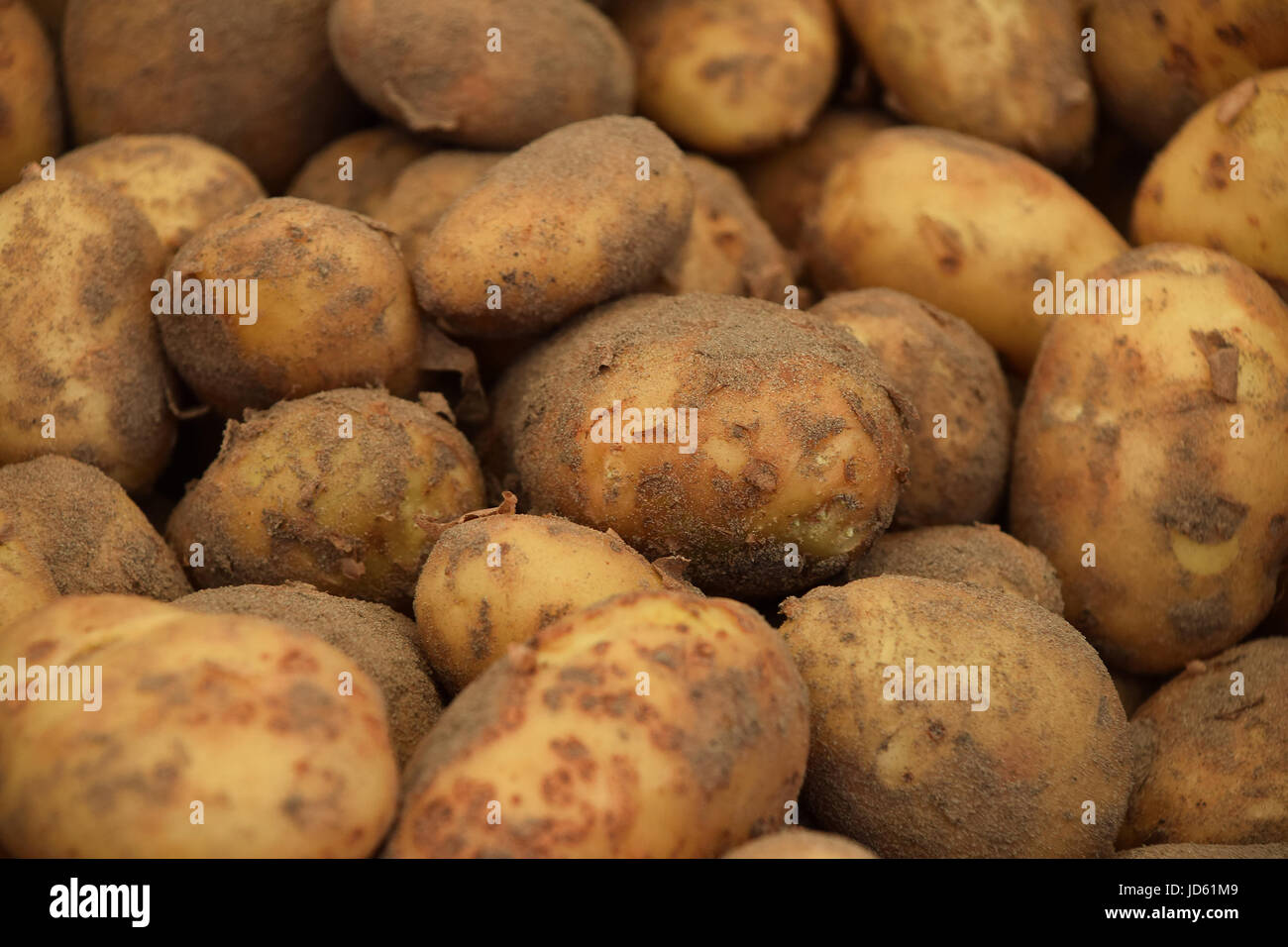Potato display hi-res stock photography and images - Alamy