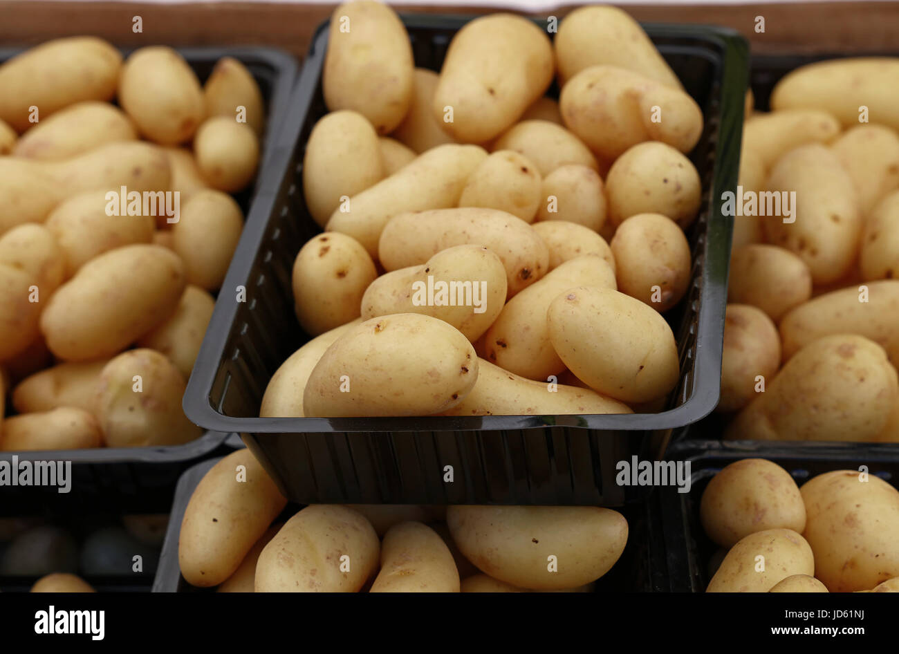 Small white washed new farm potato in black plastic container boxes at ...