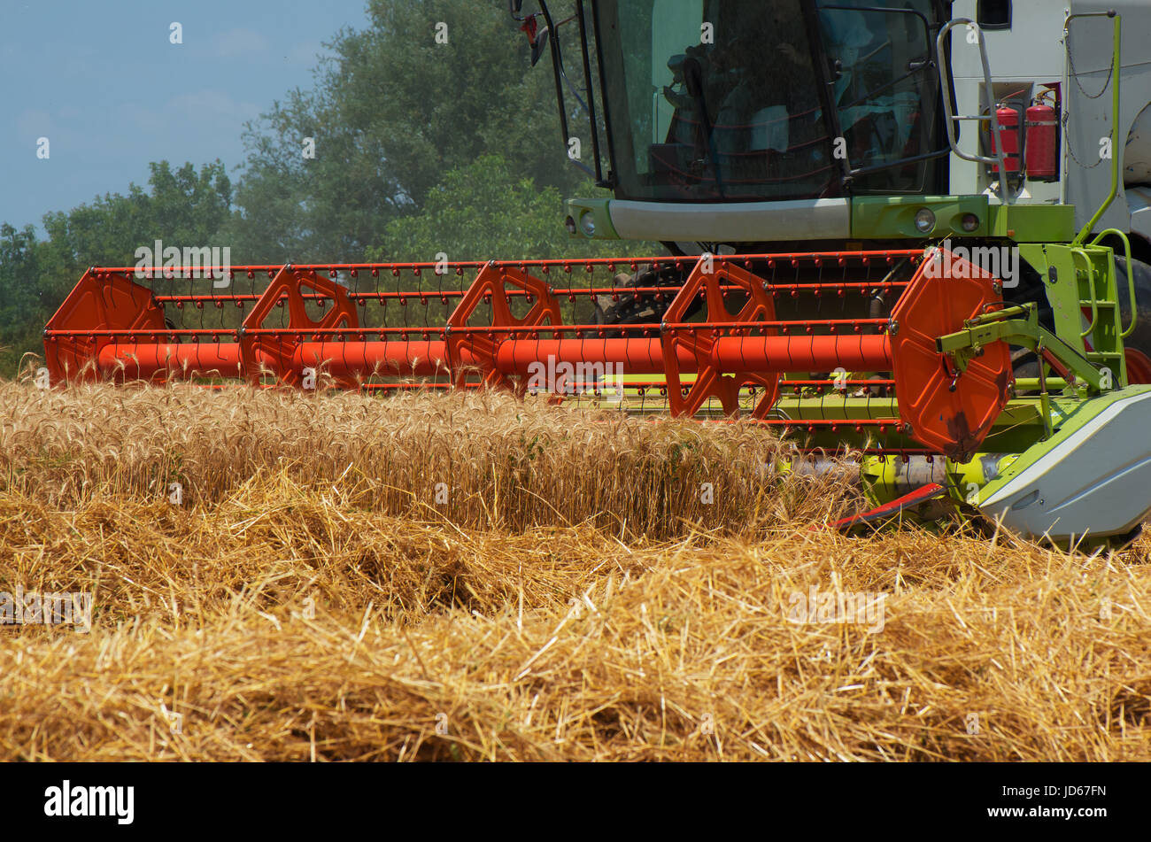 Combine harvests field ripe hi-res stock photography and images - Alamy