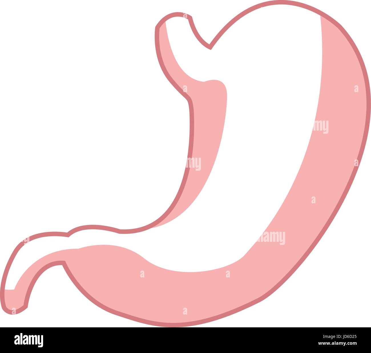 Illustration of Human Internal Stomach Anatomy Stock Vector Image & Art ...