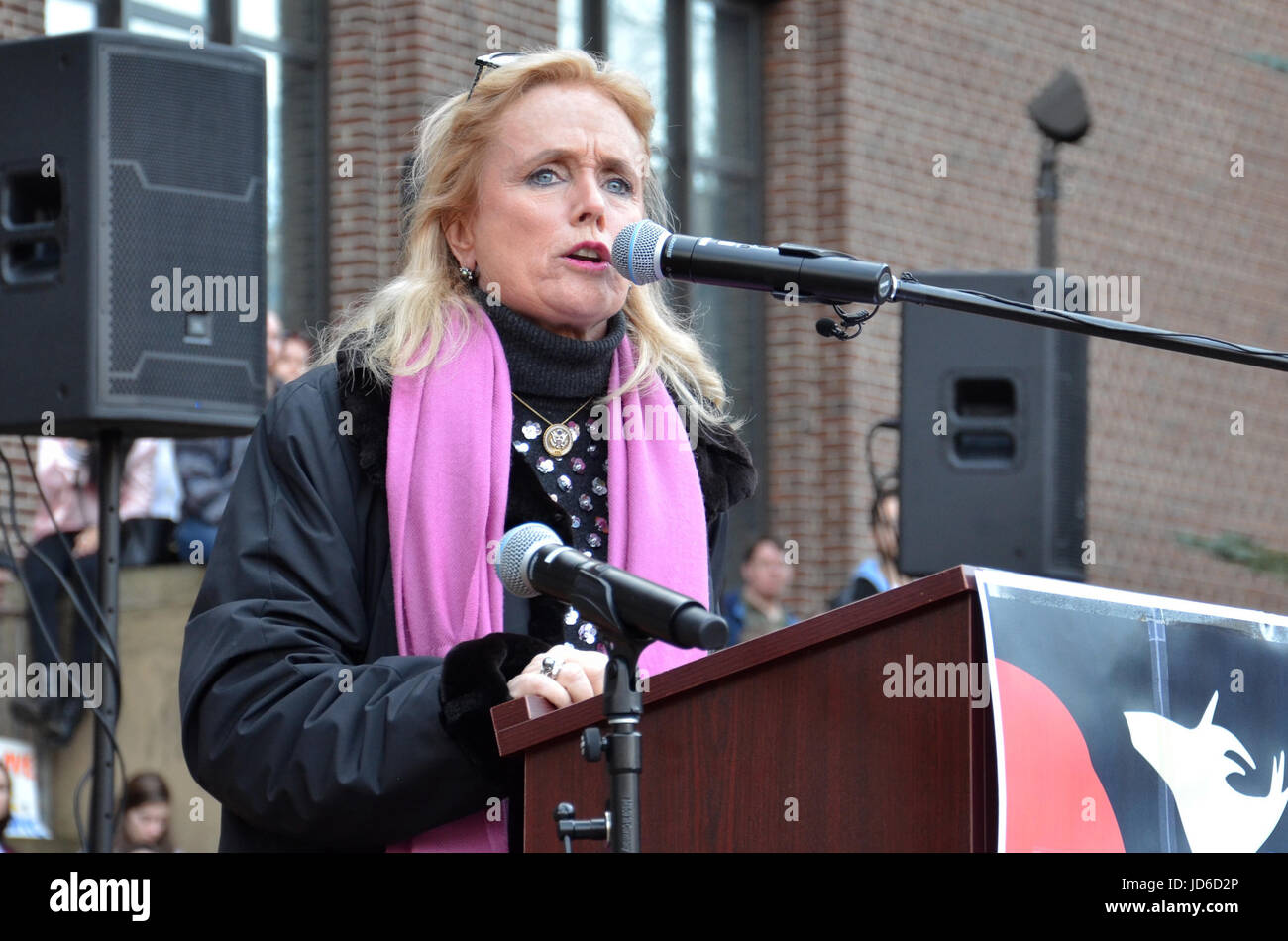 ANN ARBOR, MI - JAN 21: Congresswoman Debbie Dingell addresses the ...