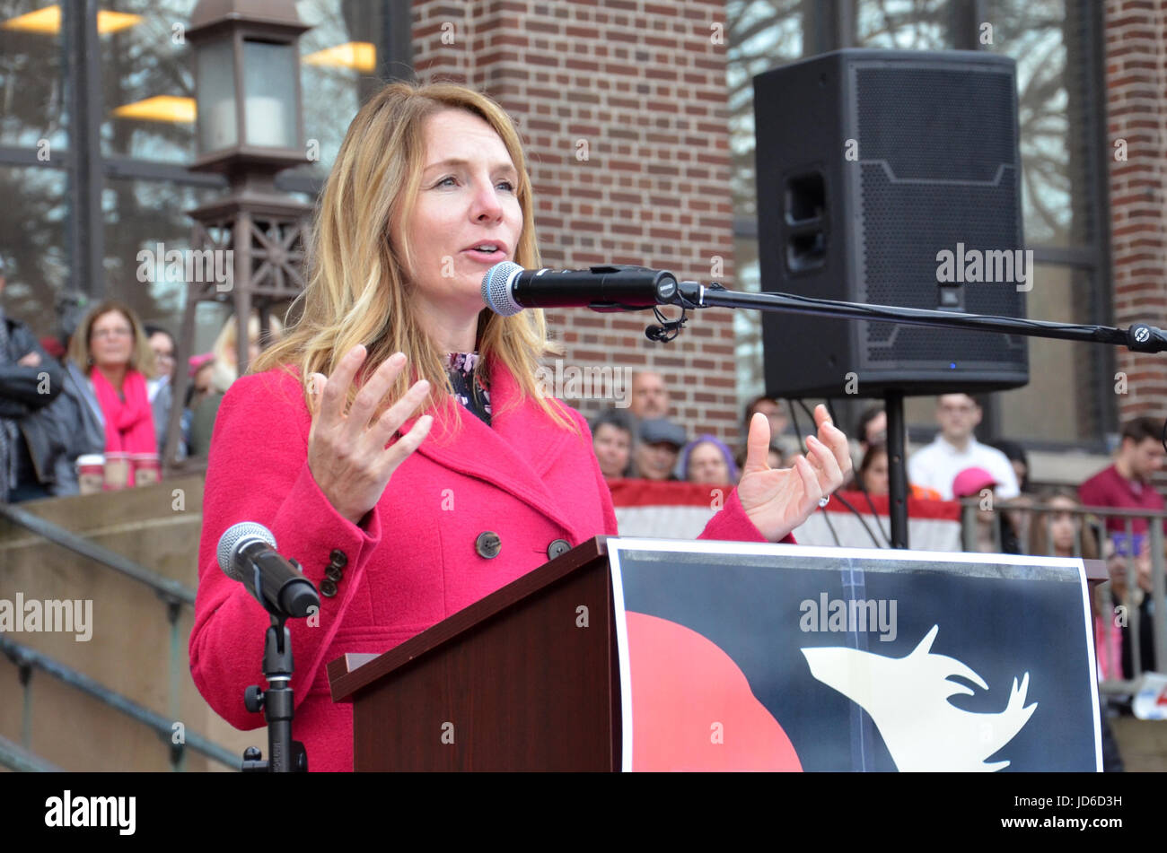 ANN ARBOR, MI - JAN 21: Michigan State Representative Donna Lasinski ...