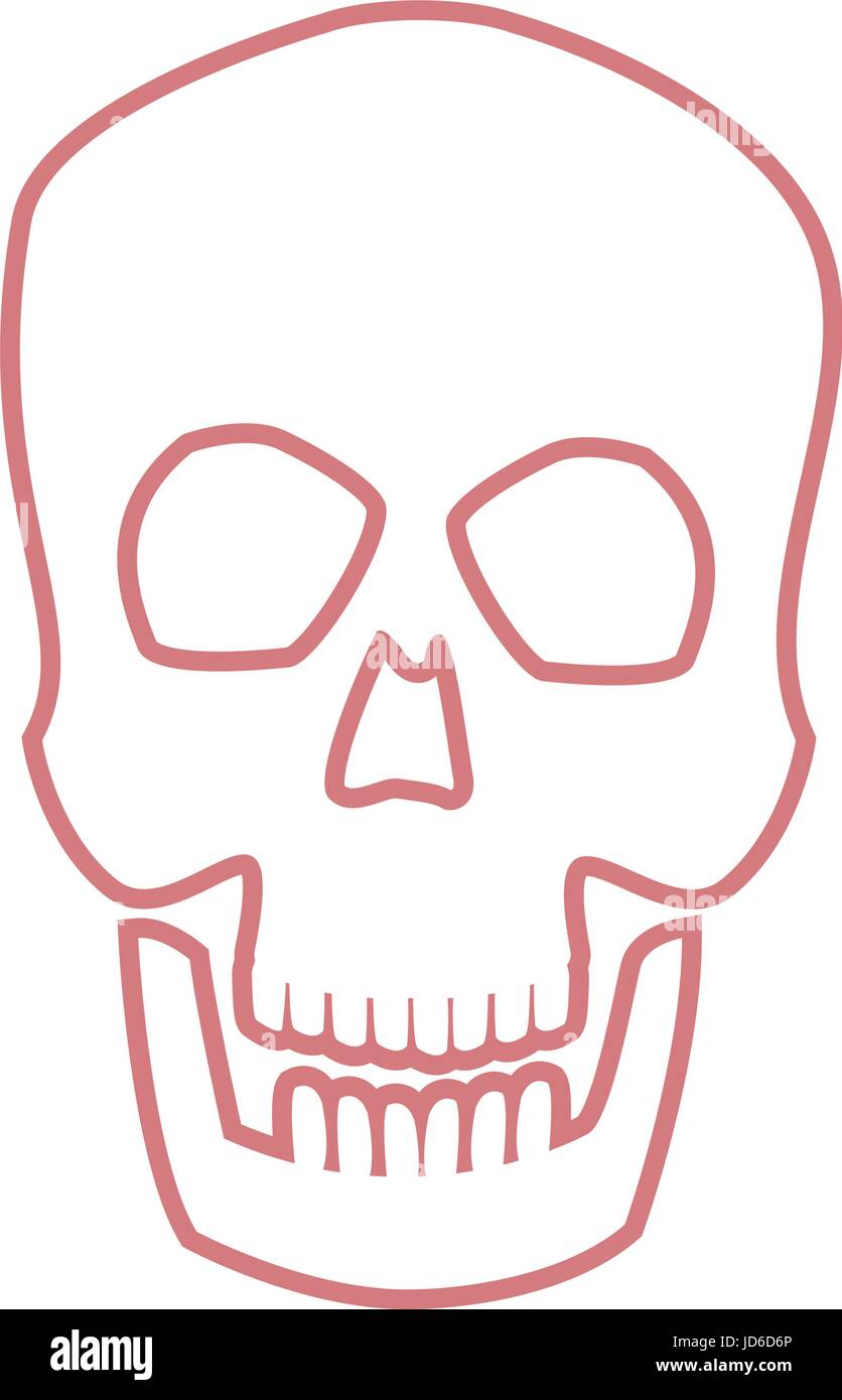 Skull bone human body anatomy cranium Stock Vector Images - Alamy