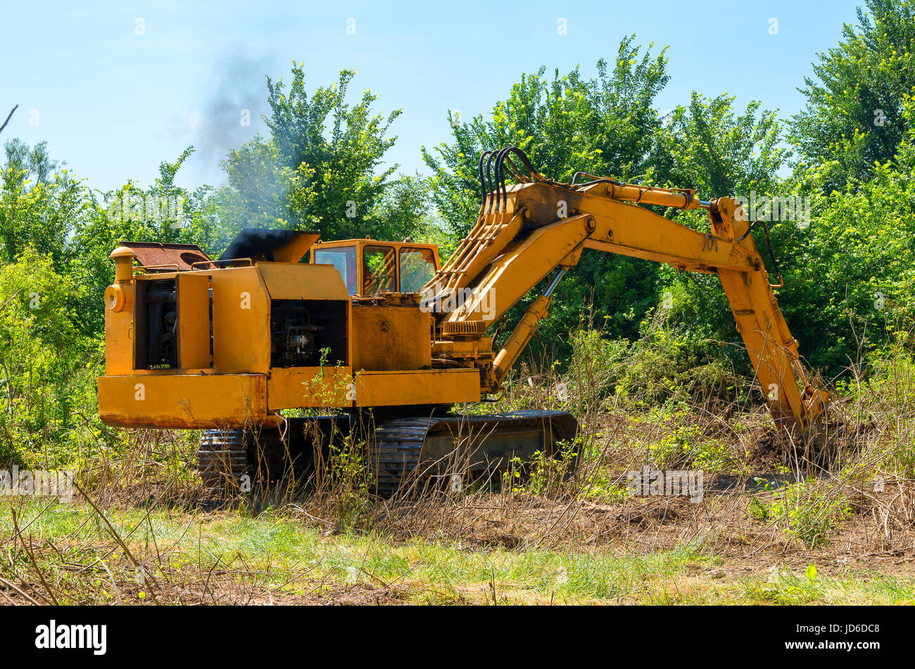 Deforestation of forest Stock Photo - Alamy