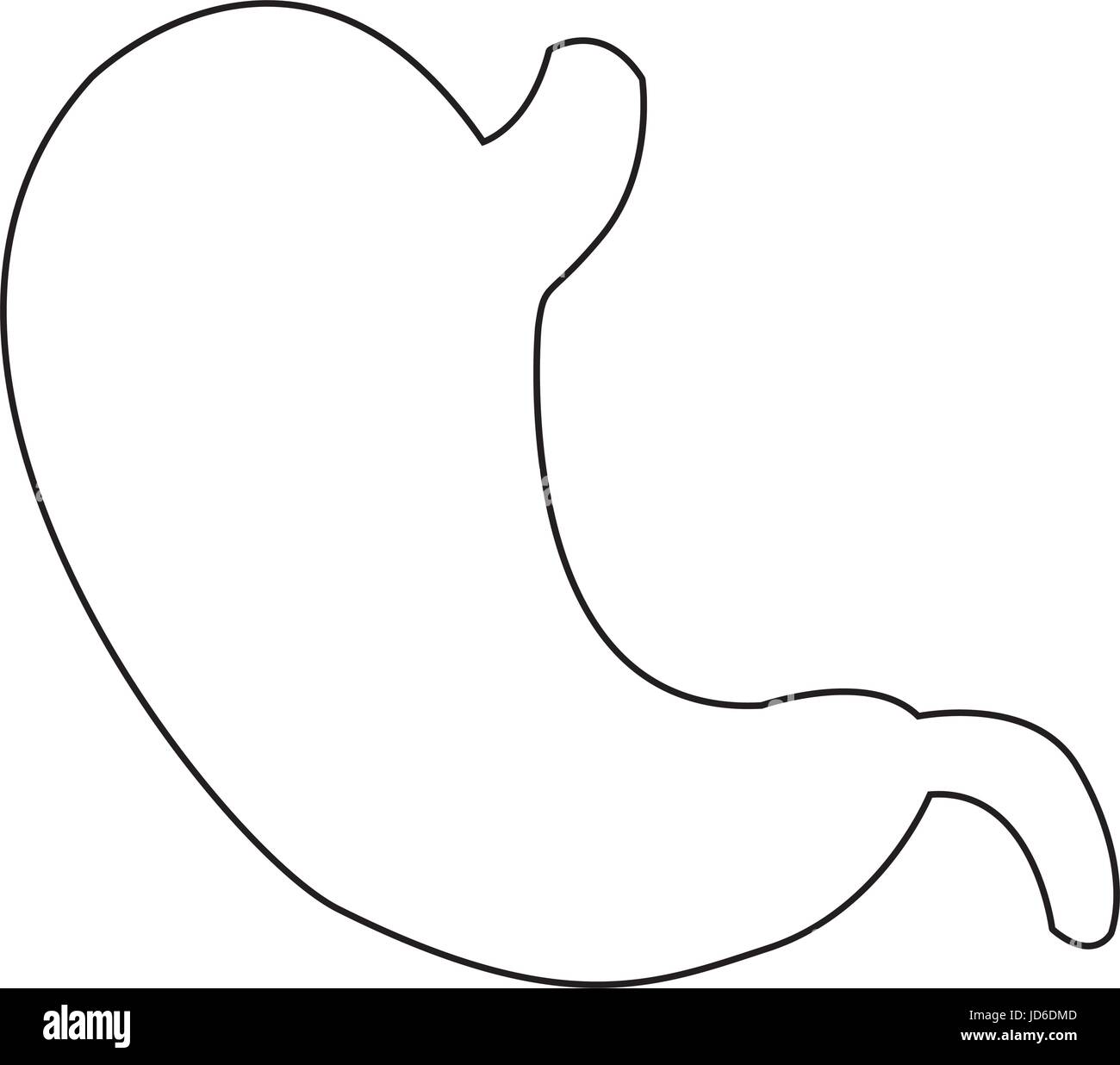 Illustration of Human Internal Stomach Anatomy Stock Vector Image & Art ...