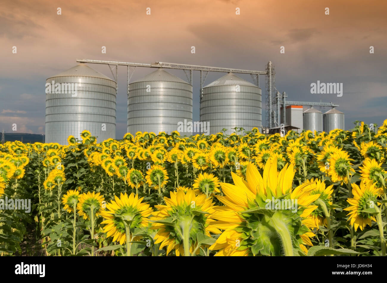 Factory silos plant silo hi-res stock photography and images - Alamy