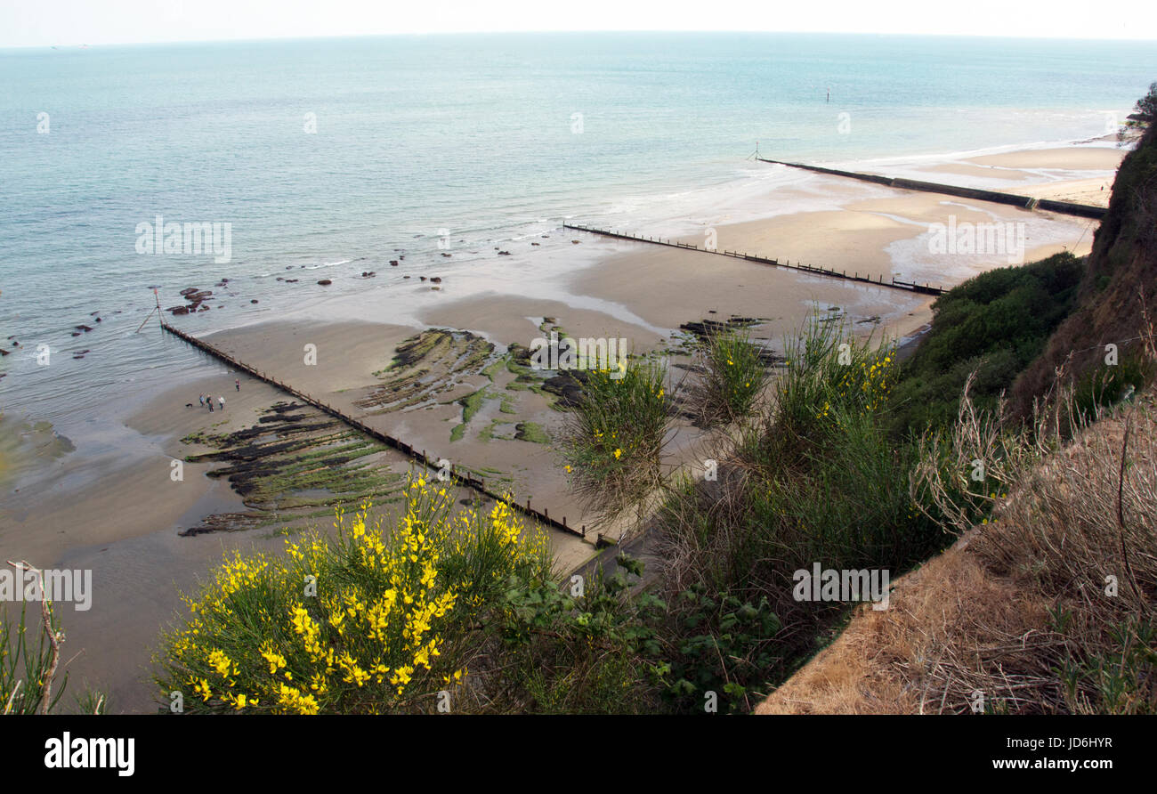 ISLE OF WIGHT; SANDOWN BEACH BELOW COASTAL PATH Stock Photo - Alamy