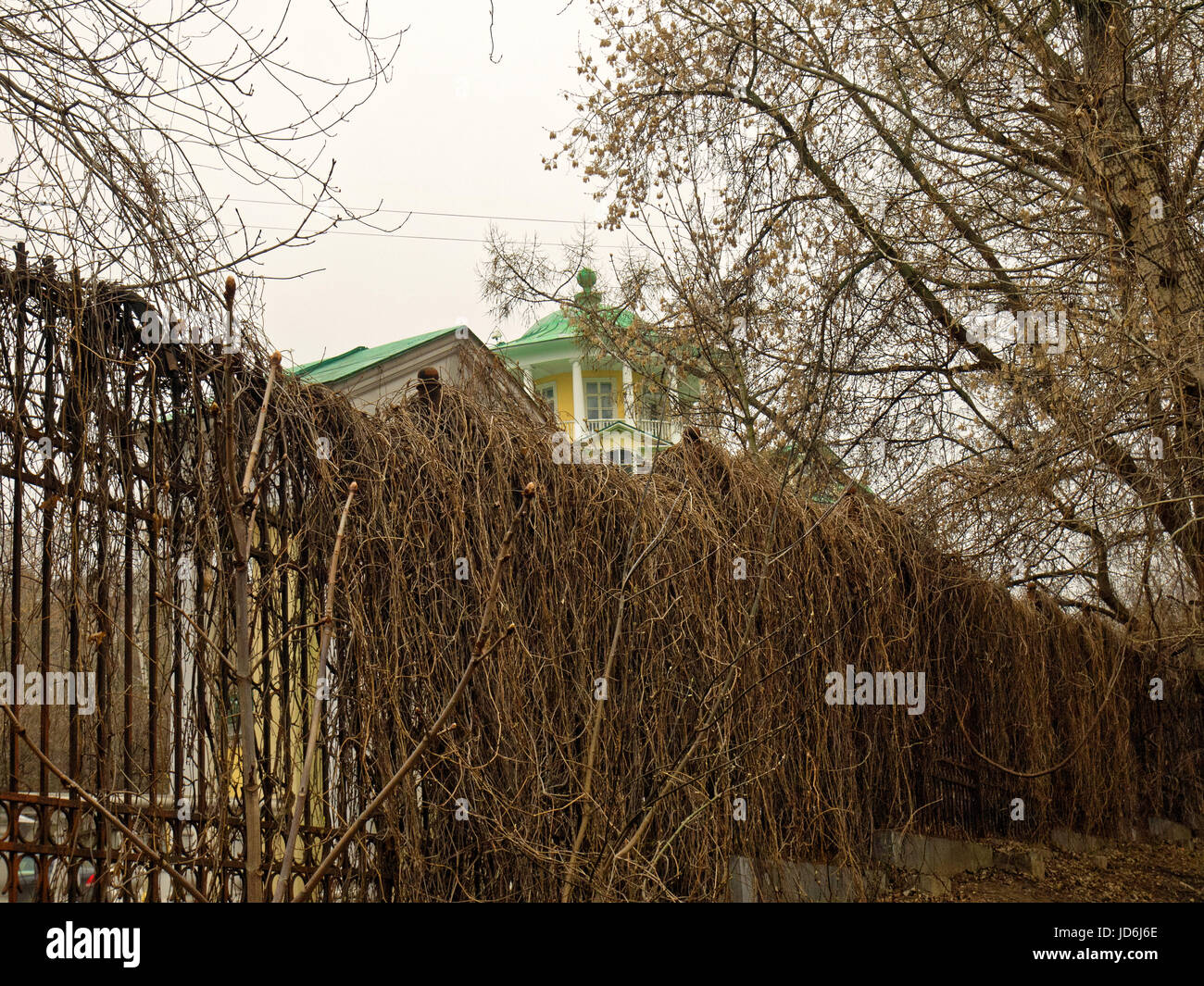Apple tree hedge hi-res stock photography and images - Alamy