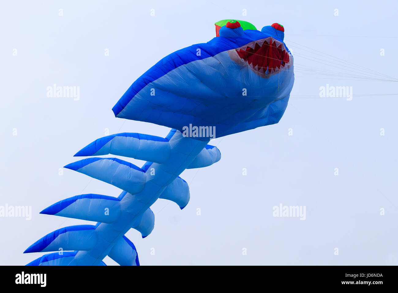 Blue kite that is flying. Blue fish kite Stock Photo - Alamy