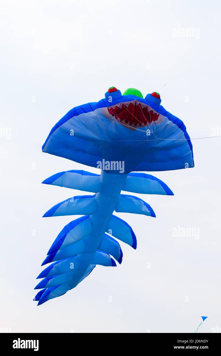 Blue kite that is flying. Blue fish kite Stock Photo - Alamy