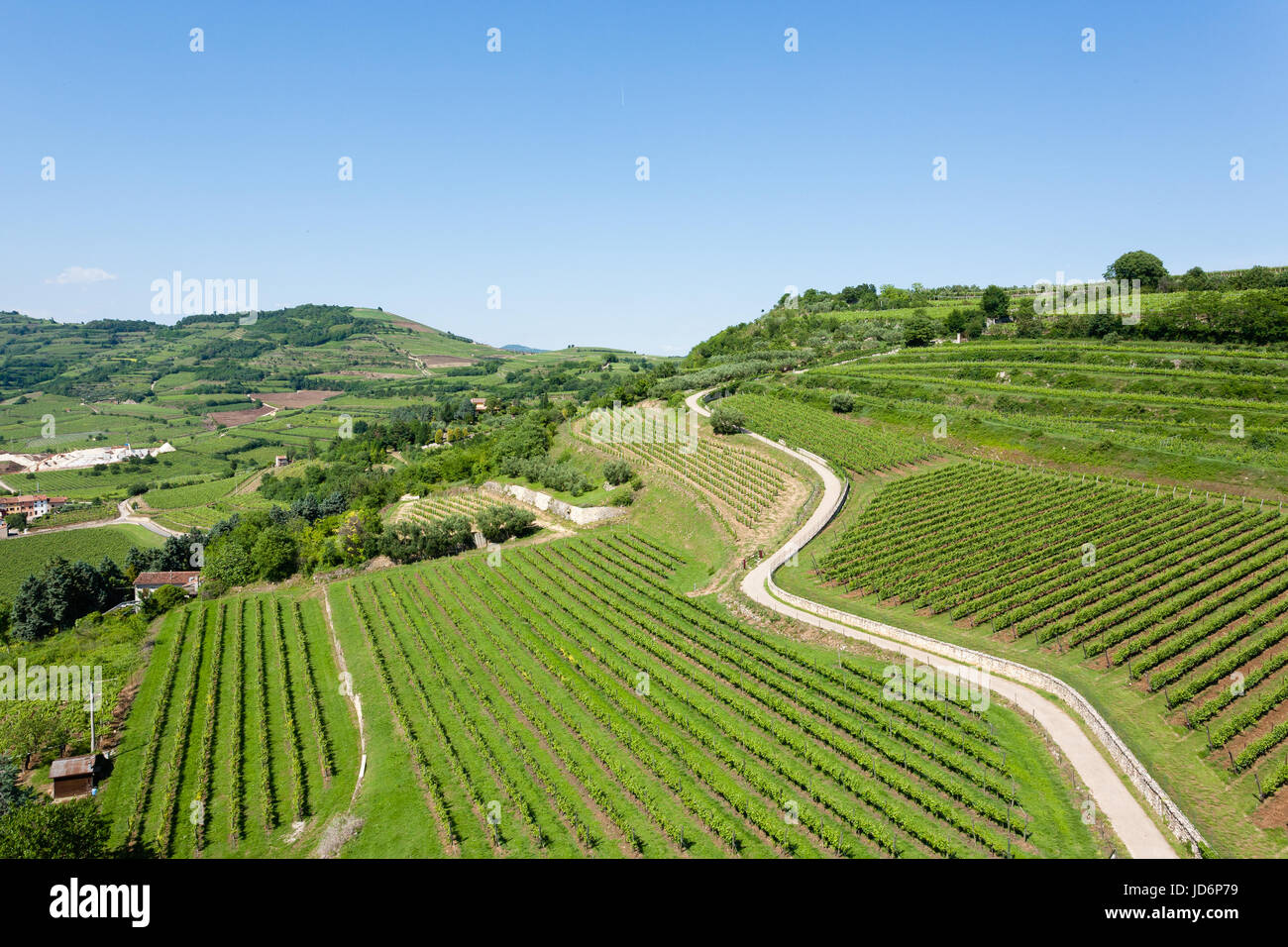 Vineyards italian vineyards hi-res stock photography and images - Alamy