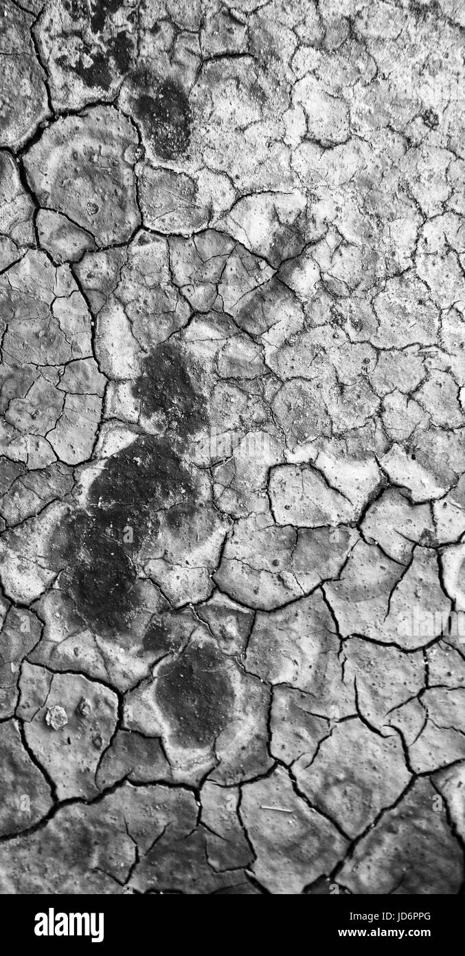 in the desert the dry ground like background texture Stock Photo - Alamy
