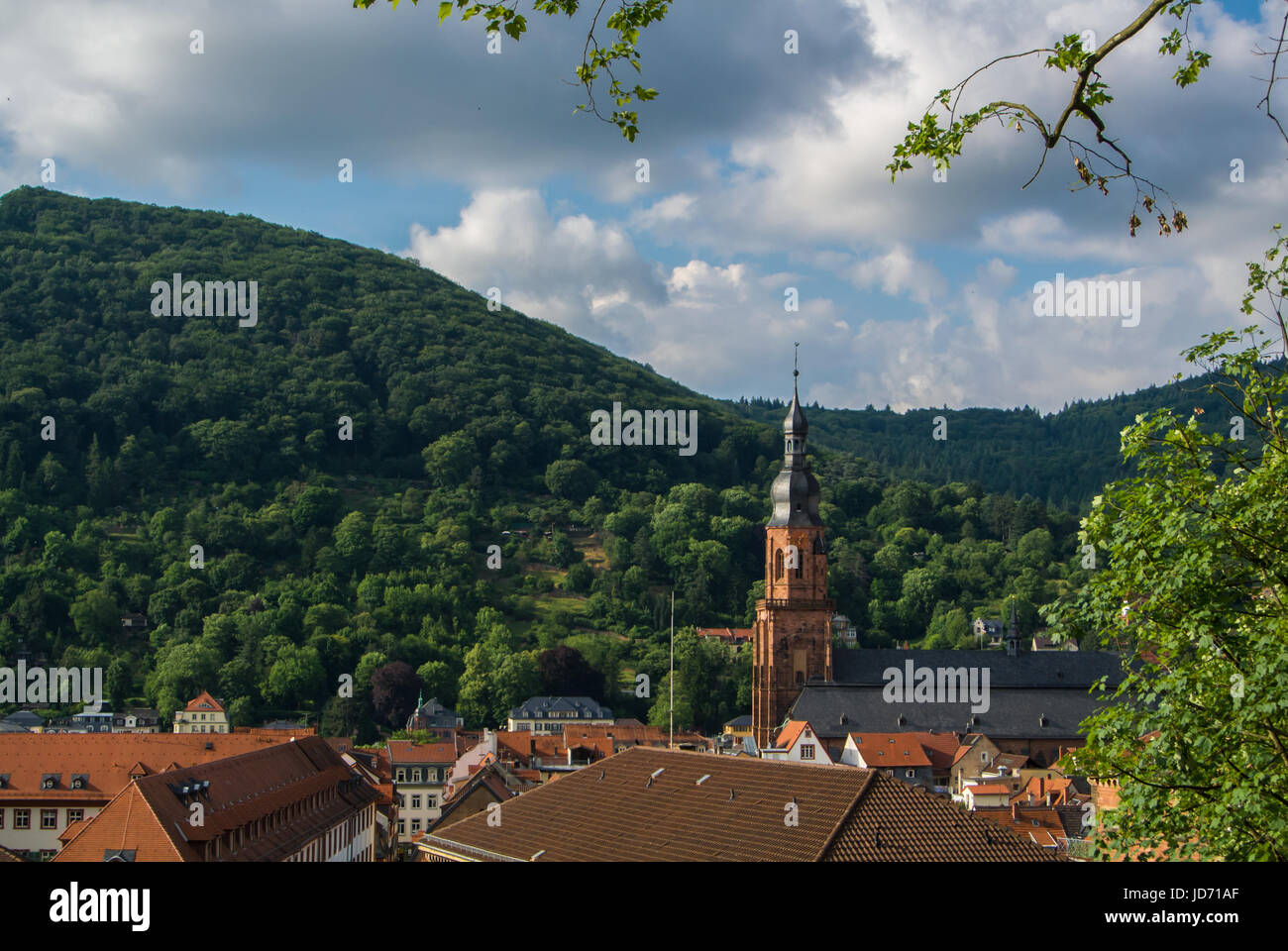 Panoramic view of Heidelberg medieval town and Neckar river from a ...