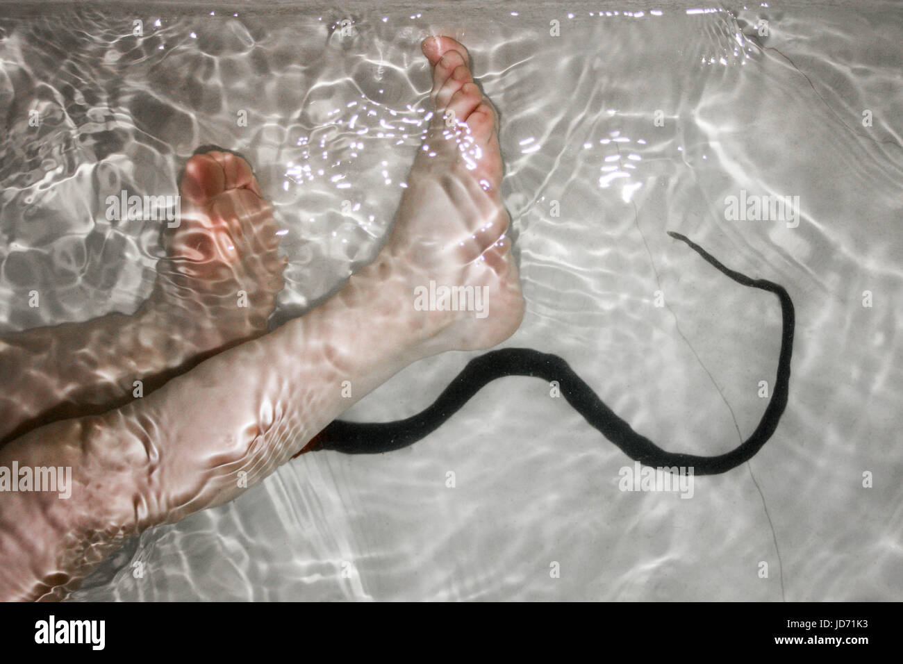 Animals Bite Sign High Resolution Stock Photography and Images - Alamy