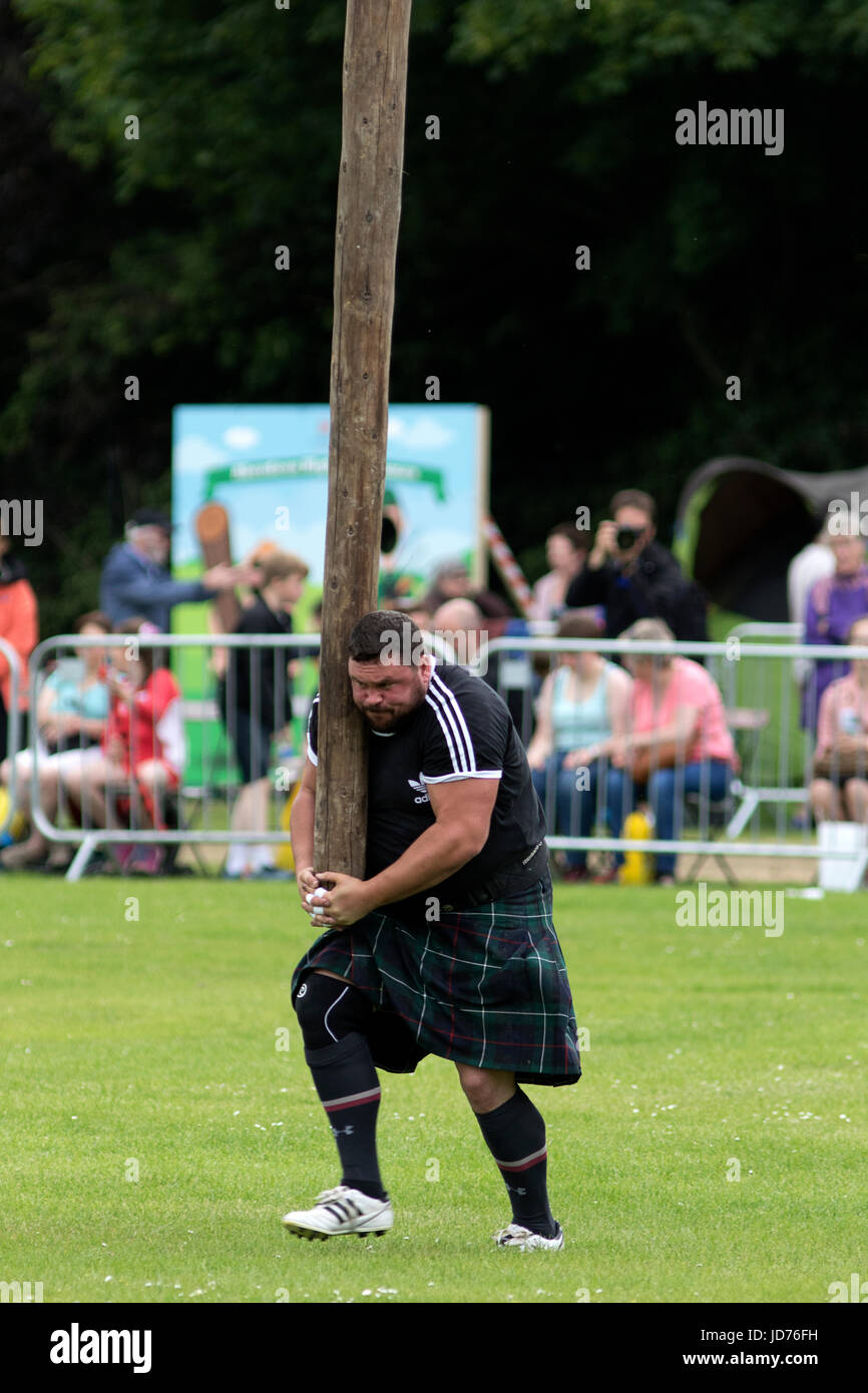 Aberdeen, Scotland - Jun 18, 2017: A competitor in the caber toss, a ...