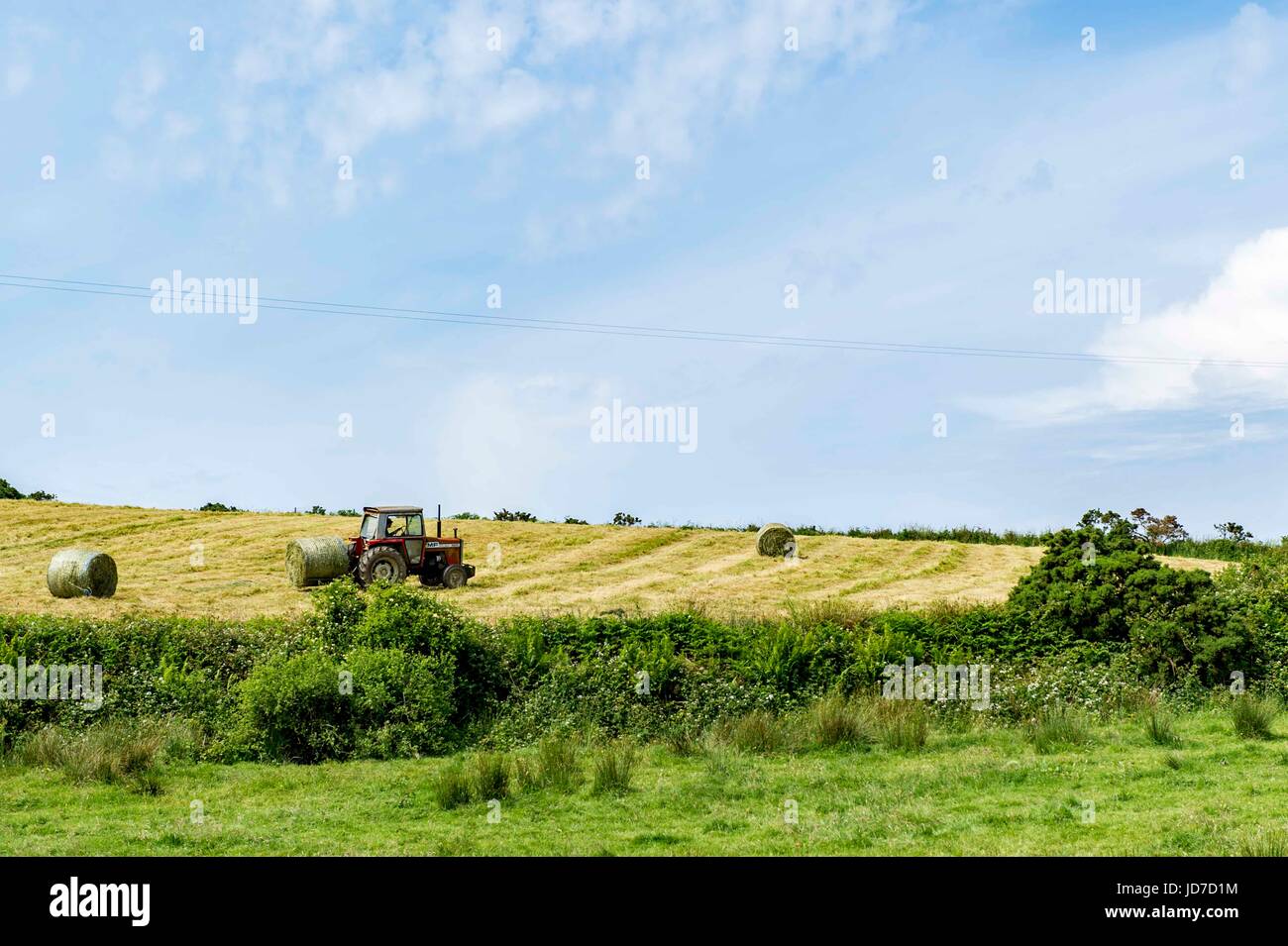Ballydehob, West Cork, Ireland. 19th June, 2017. On a blisteringly hot ...