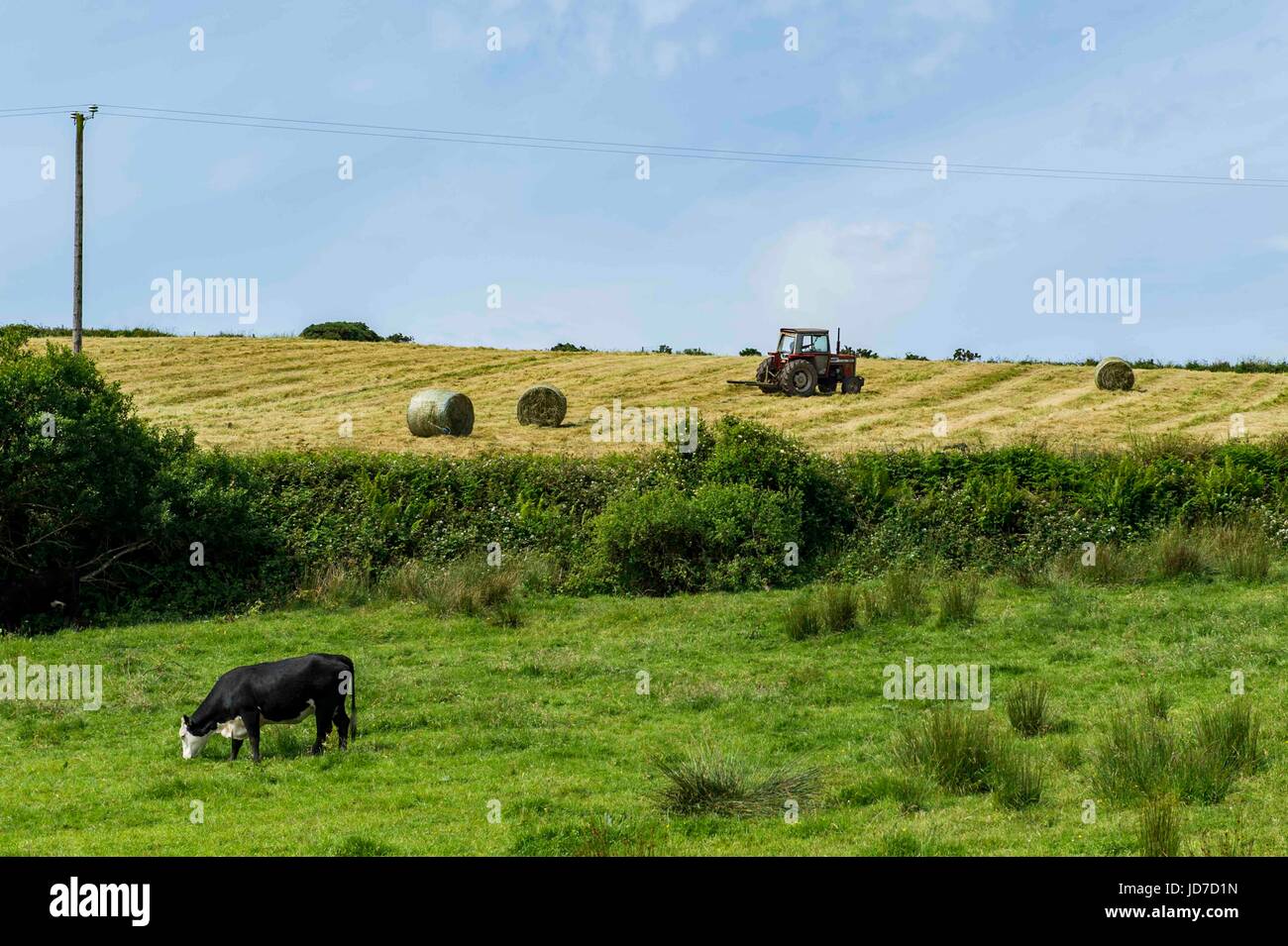 Baling for storage hi-res stock photography and images - Alamy