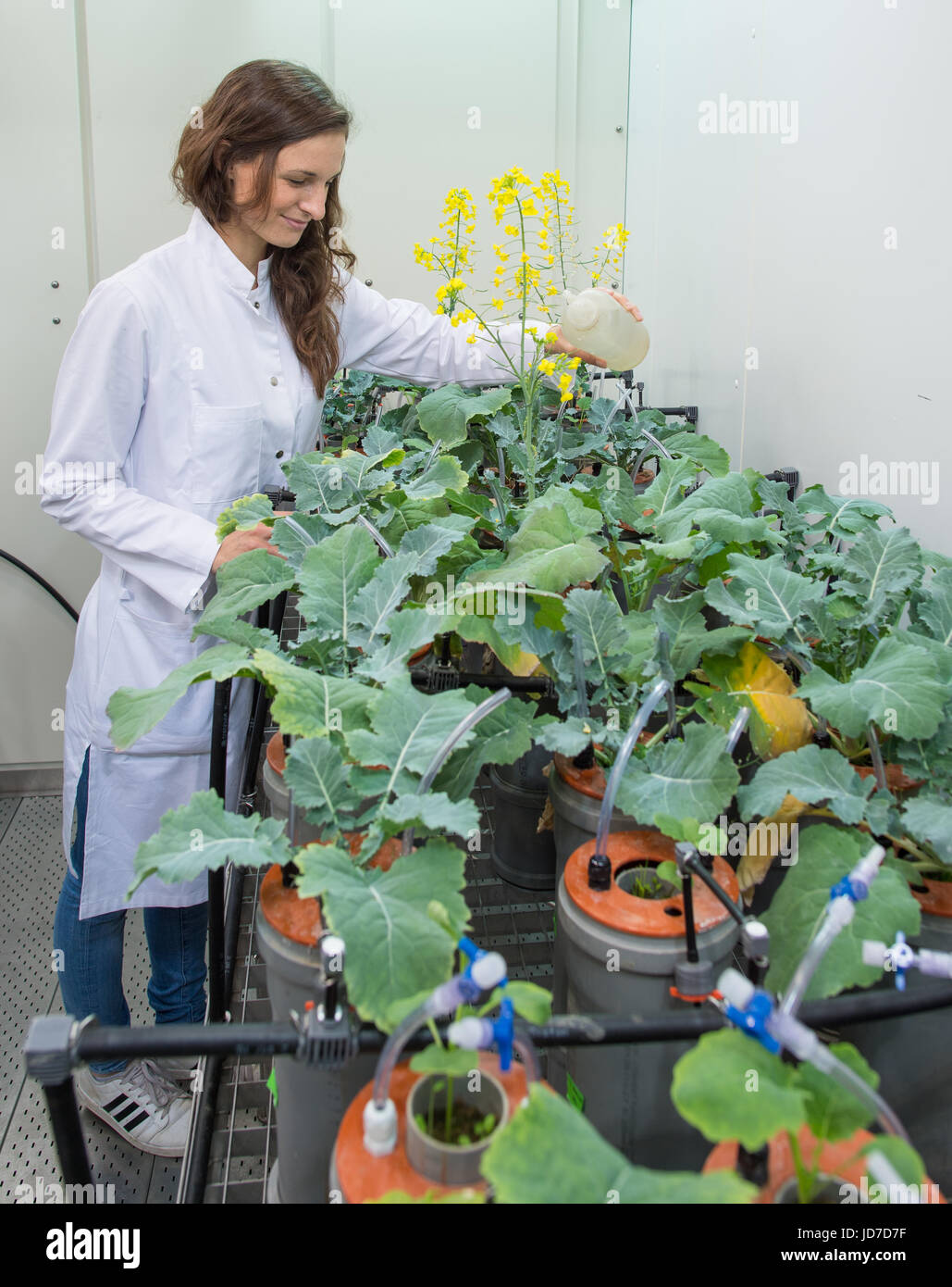 The doctorate student Anne-Katrin Kersten of the Leibnitz Centre for ...