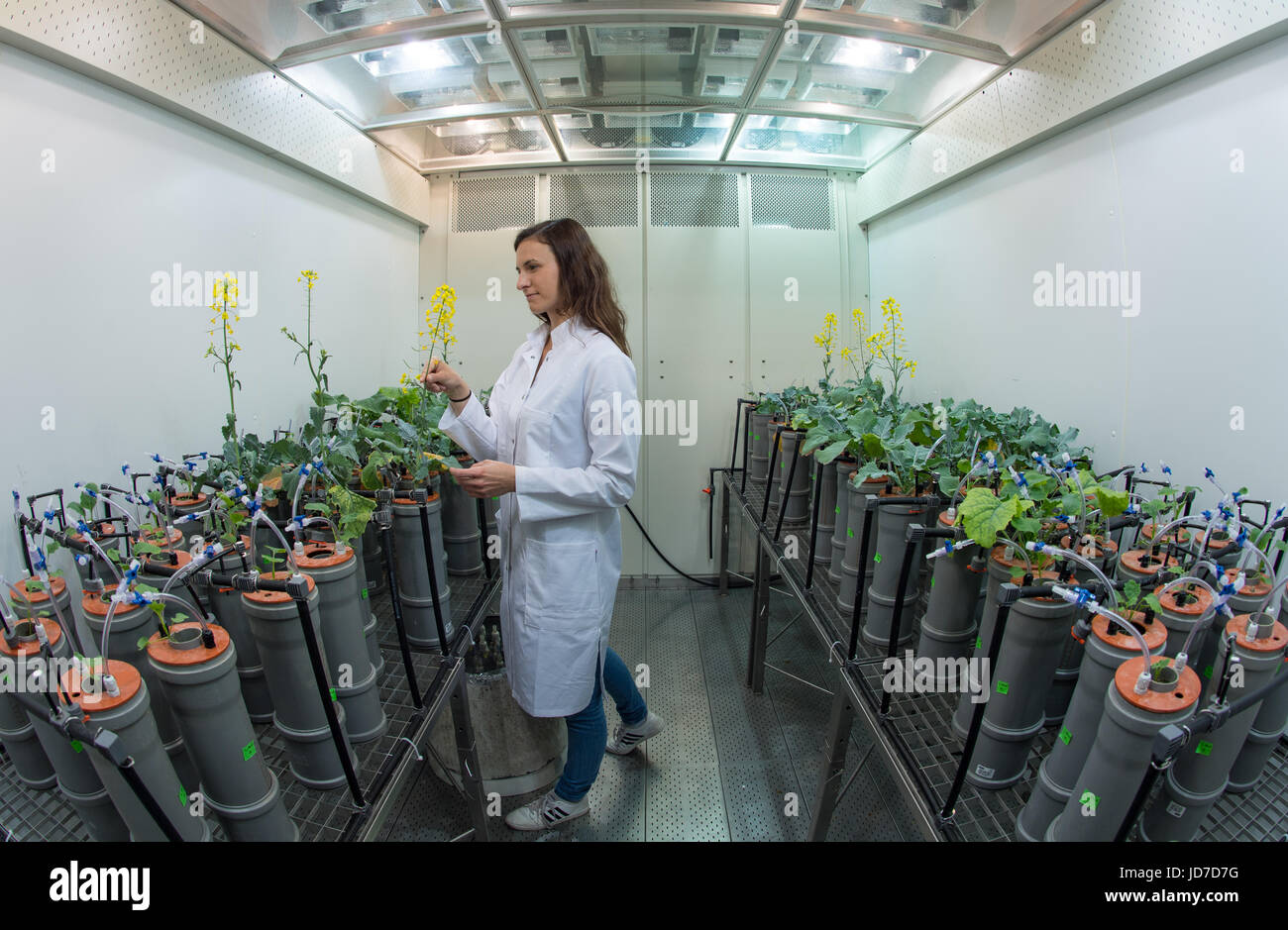 The doctorate student Anne-Katrin Kersten of the Leibnitz Centre for ...