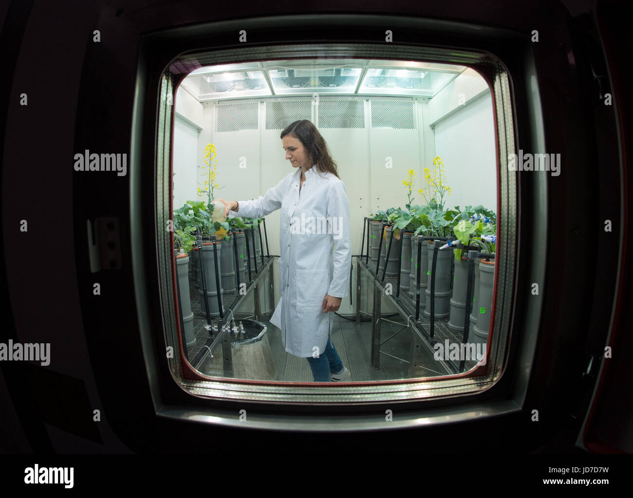 Digitalization history hi-res stock photography and images - Alamy