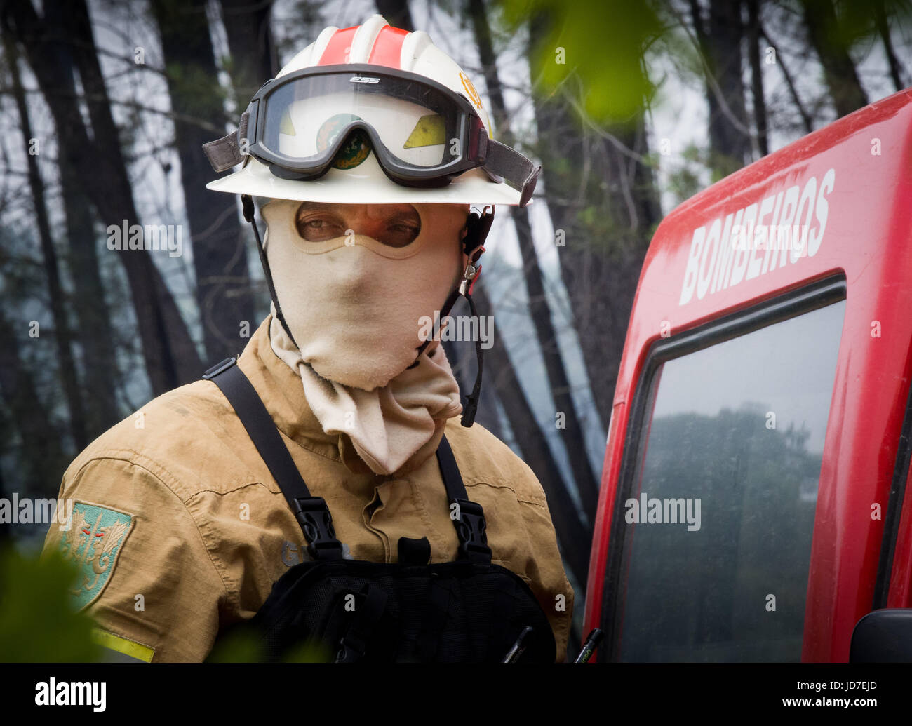 Lisbon, Portugal. 19th Jun, 2017. Fire brigade members observe the ...