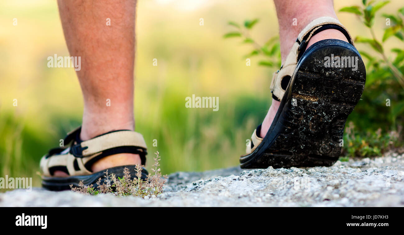 Successful hiker legs walking on mountain peak rock. Adventure and ...