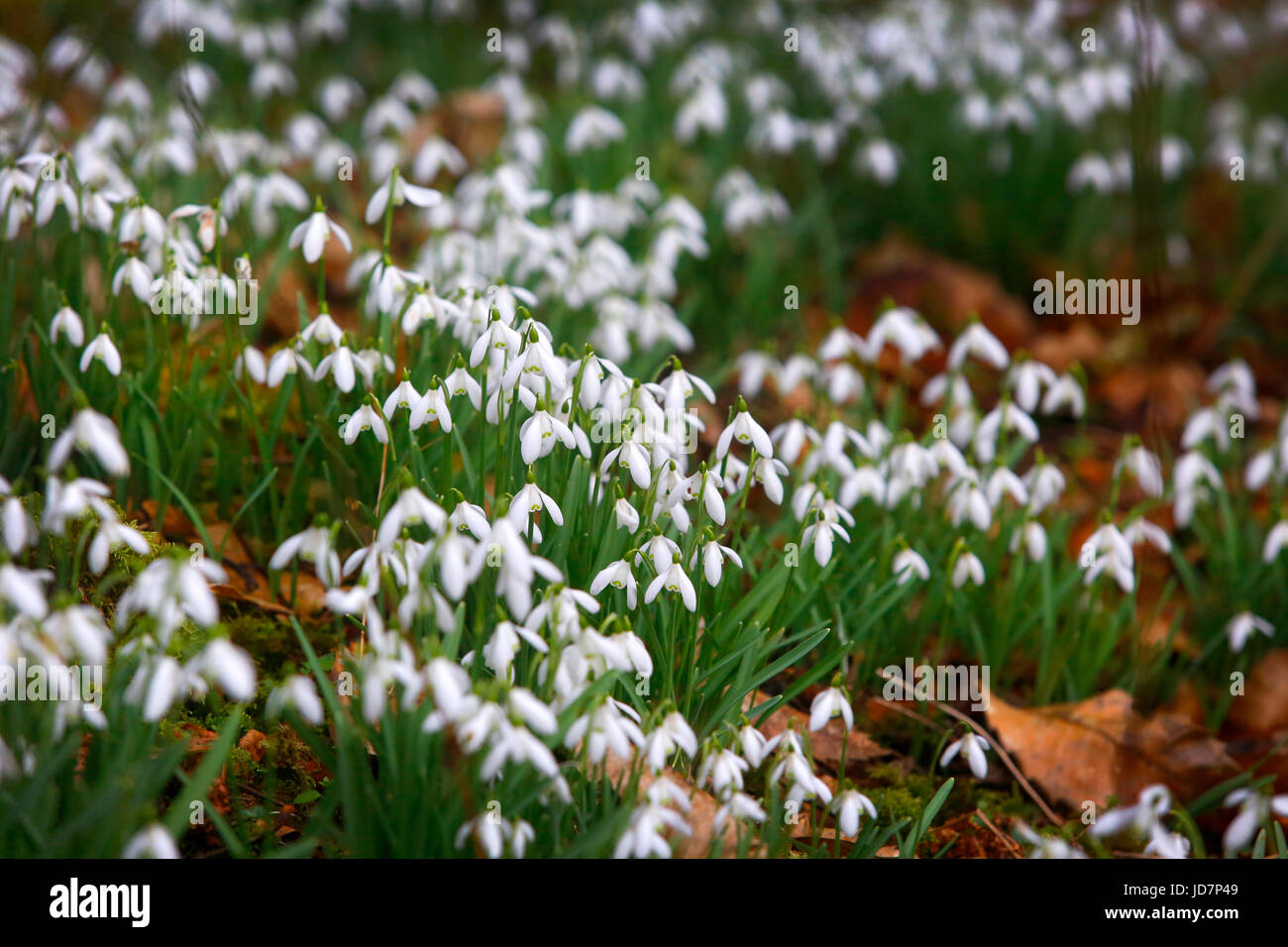 Valley of the cross hi-res stock photography and images - Alamy