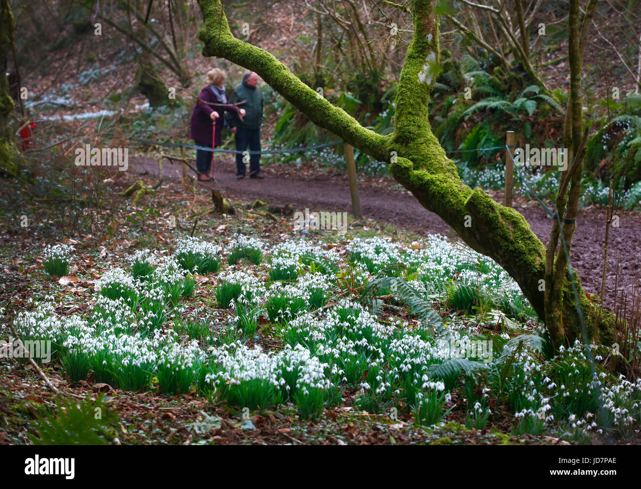 Wheddon cross hi-res stock photography and images - Alamy