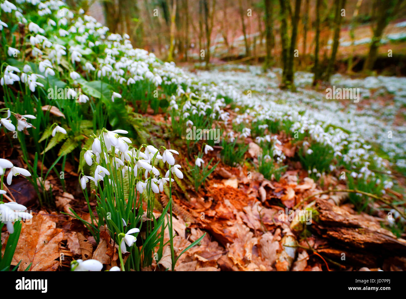 Wheddon cross hi-res stock photography and images - Alamy