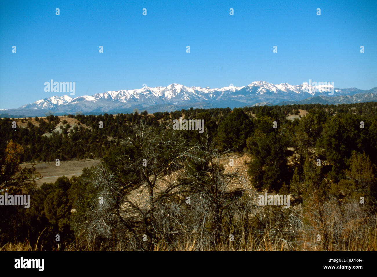 Durango desert hi-res stock photography and images - Alamy