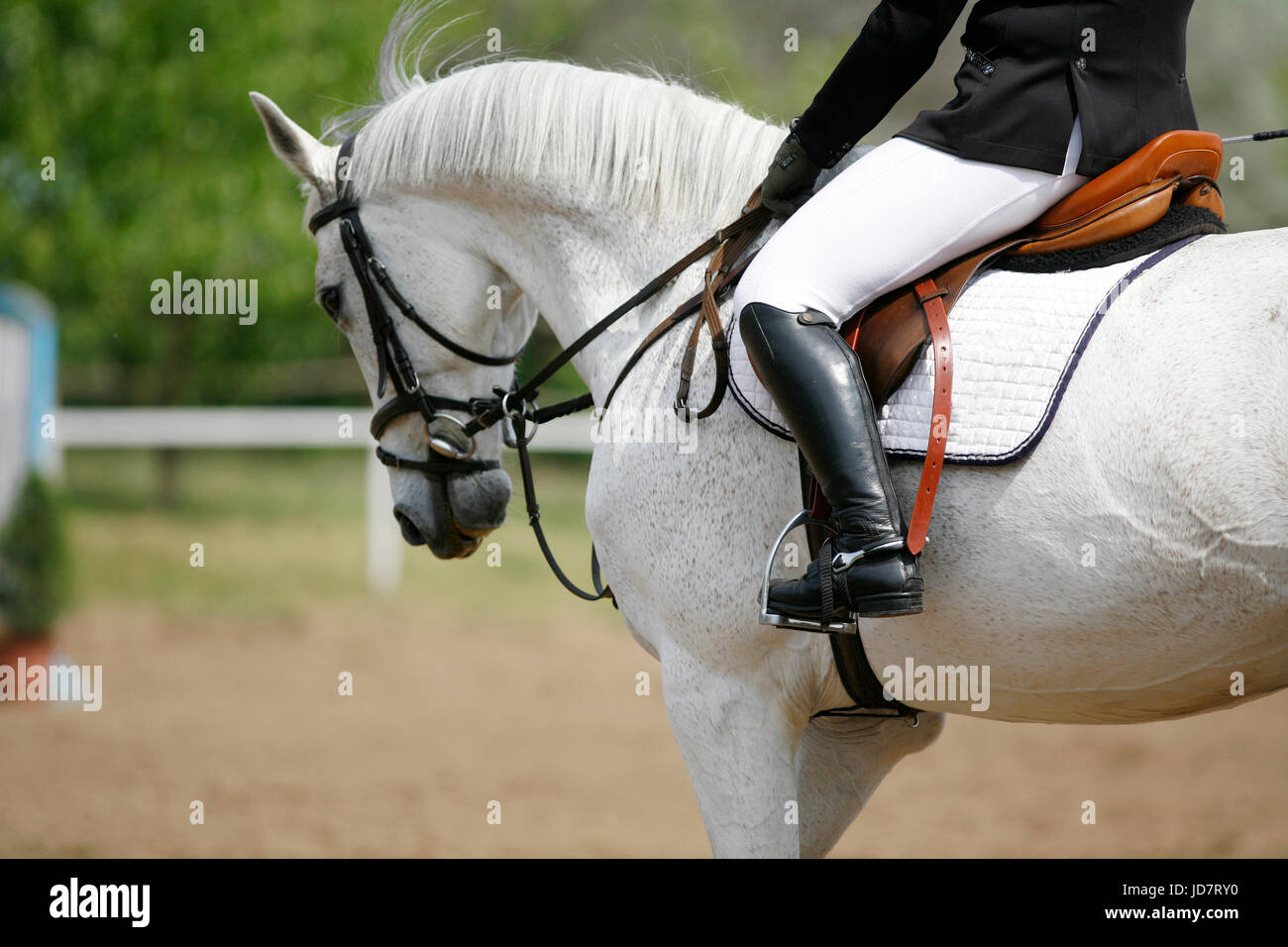 Unknown jumping rider on horseback overcomes barriers Stock Photo - Alamy