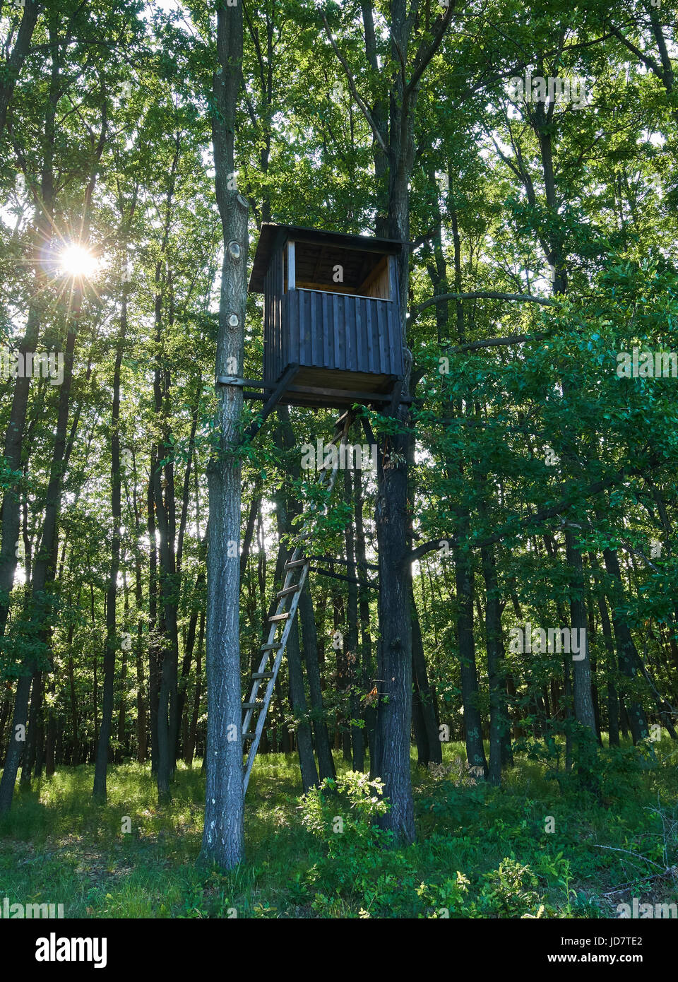 Hunting shelter in the forest also used as observatory Stock Photo - Alamy