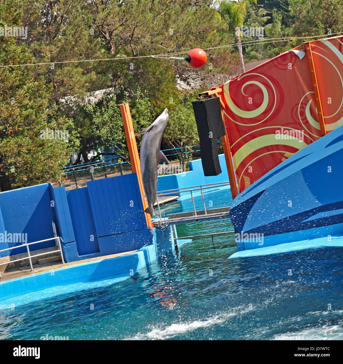 Dolphin in zoo hi-res stock photography and images - Alamy
