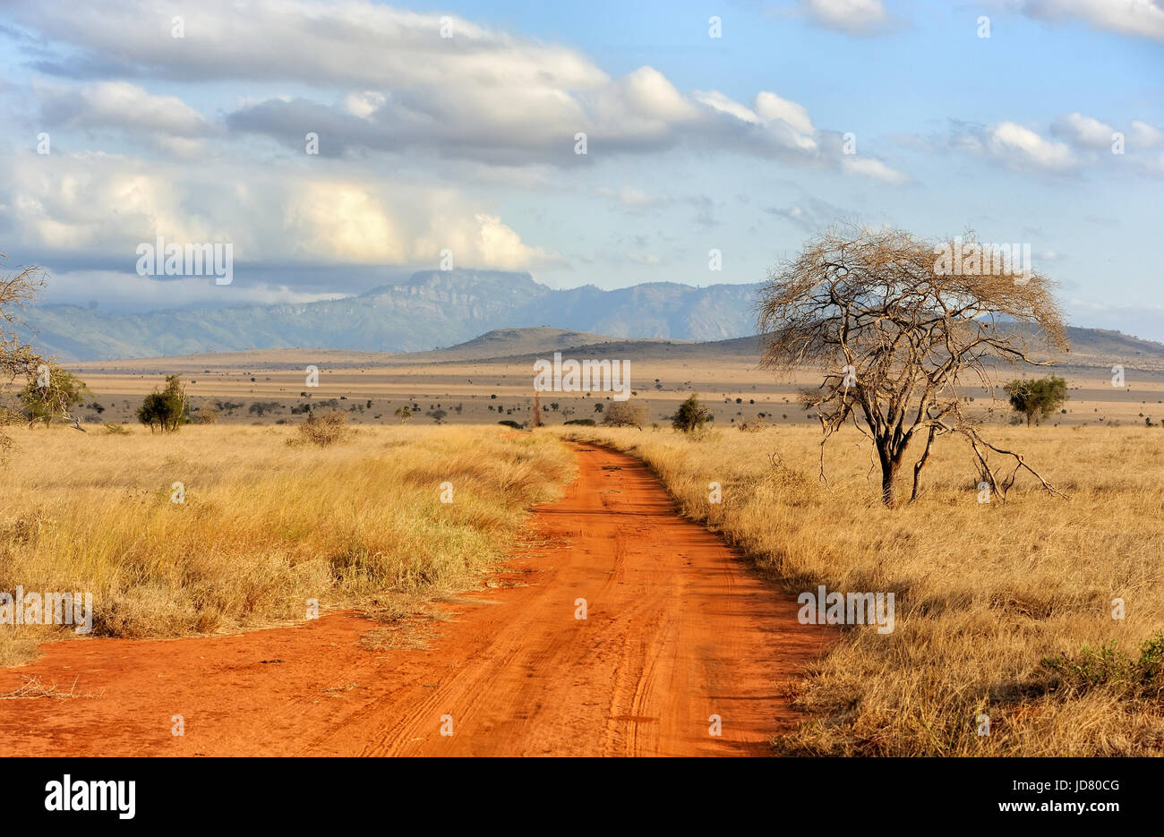 Beautiful landscape with tree in Africa Stock Photo - Alamy