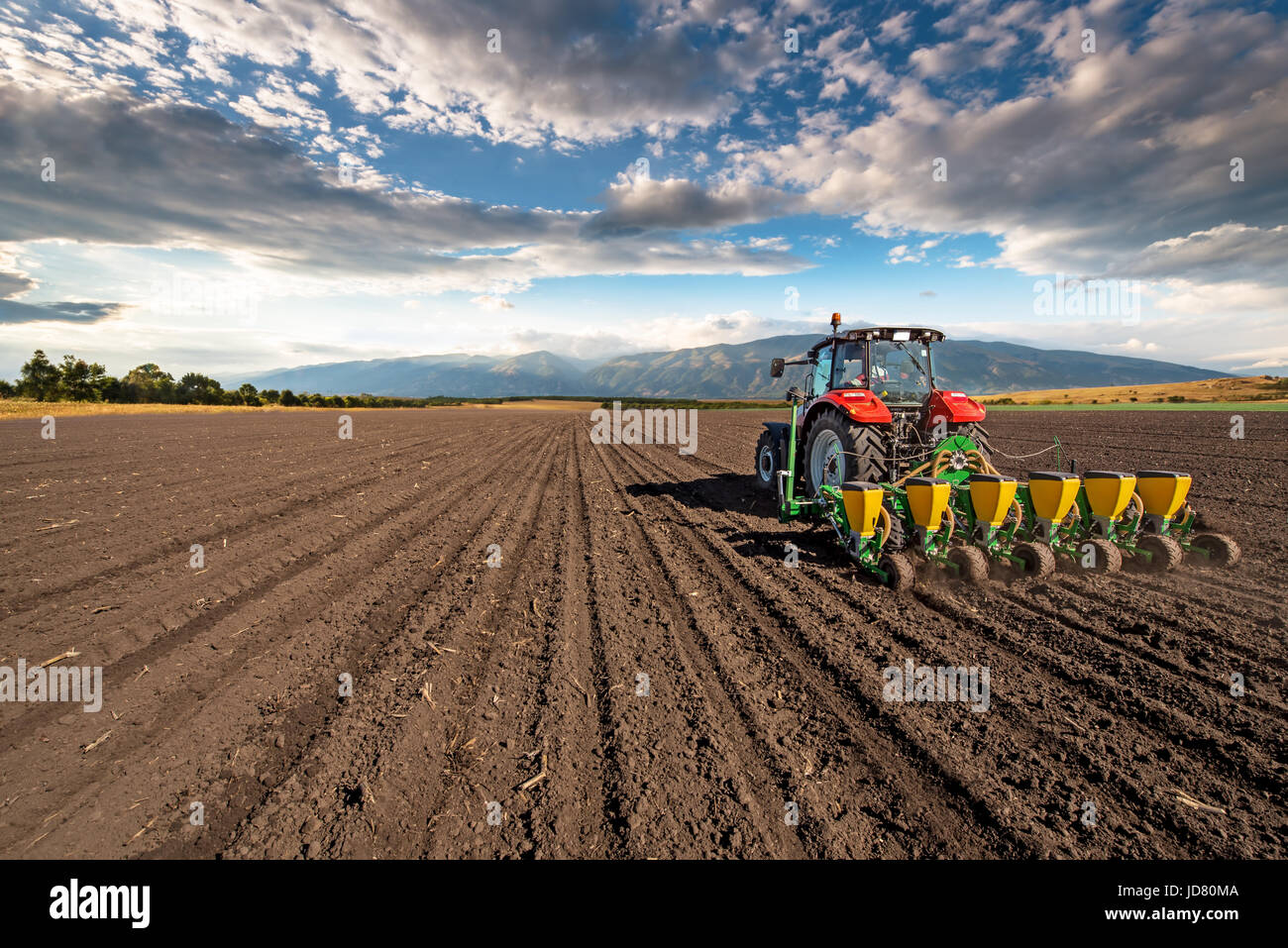 Agriculture tractor sowing seeds and cultivating field Stock Photo - Alamy