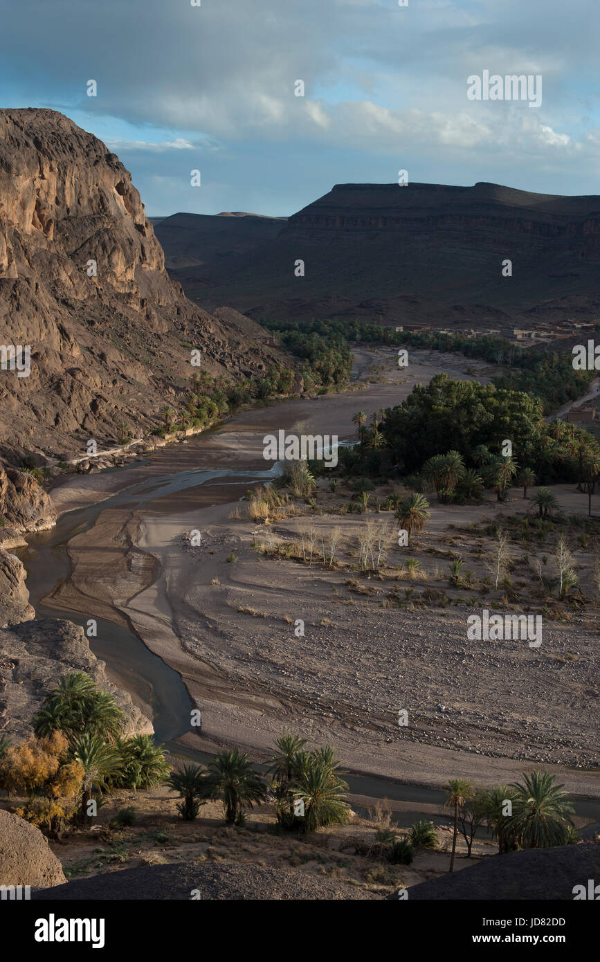 Oasis of flint hi-res stock photography and images - Alamy