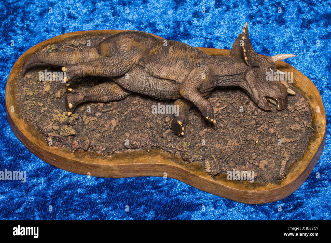 Triceratops calf dead scale model modeller david daines hi-res stock ...