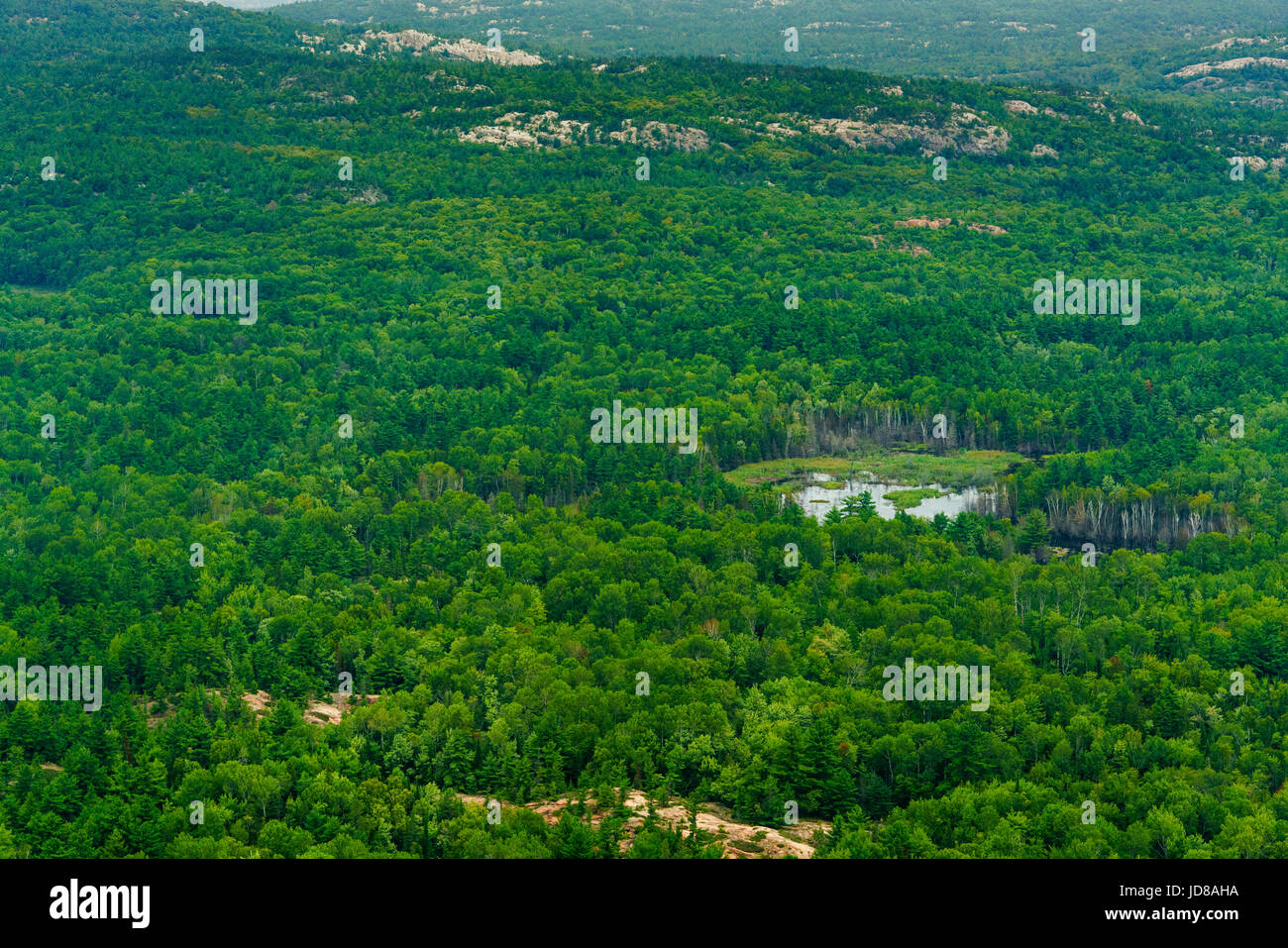 Large area of trees on mountain rocks, Toronto, Ontario, Canada. aerial ...