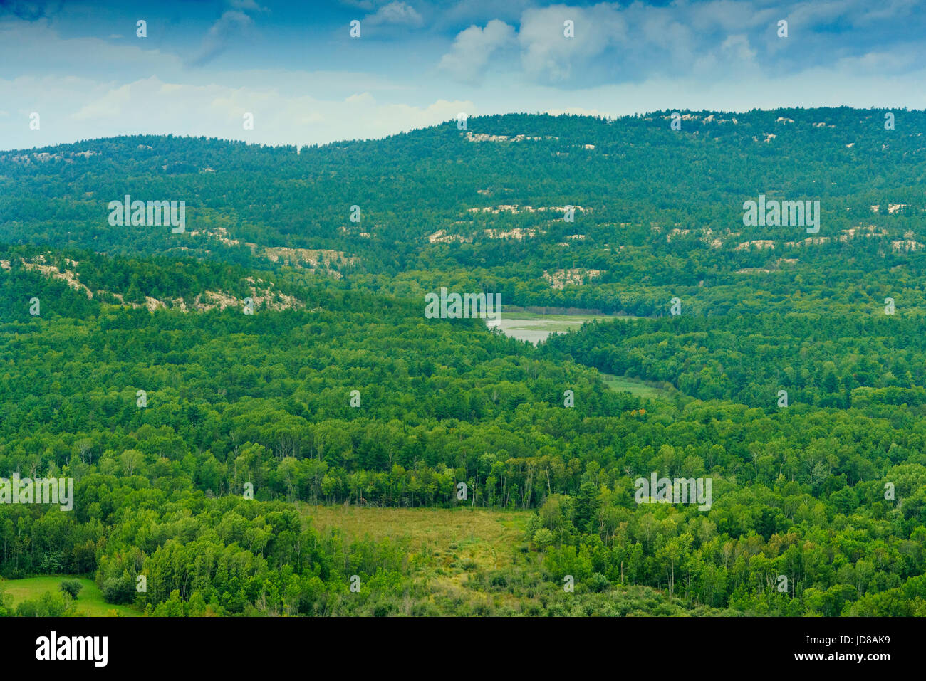 Aerial view of trees, lake and mountain landscape, Toronto, Ontario ...